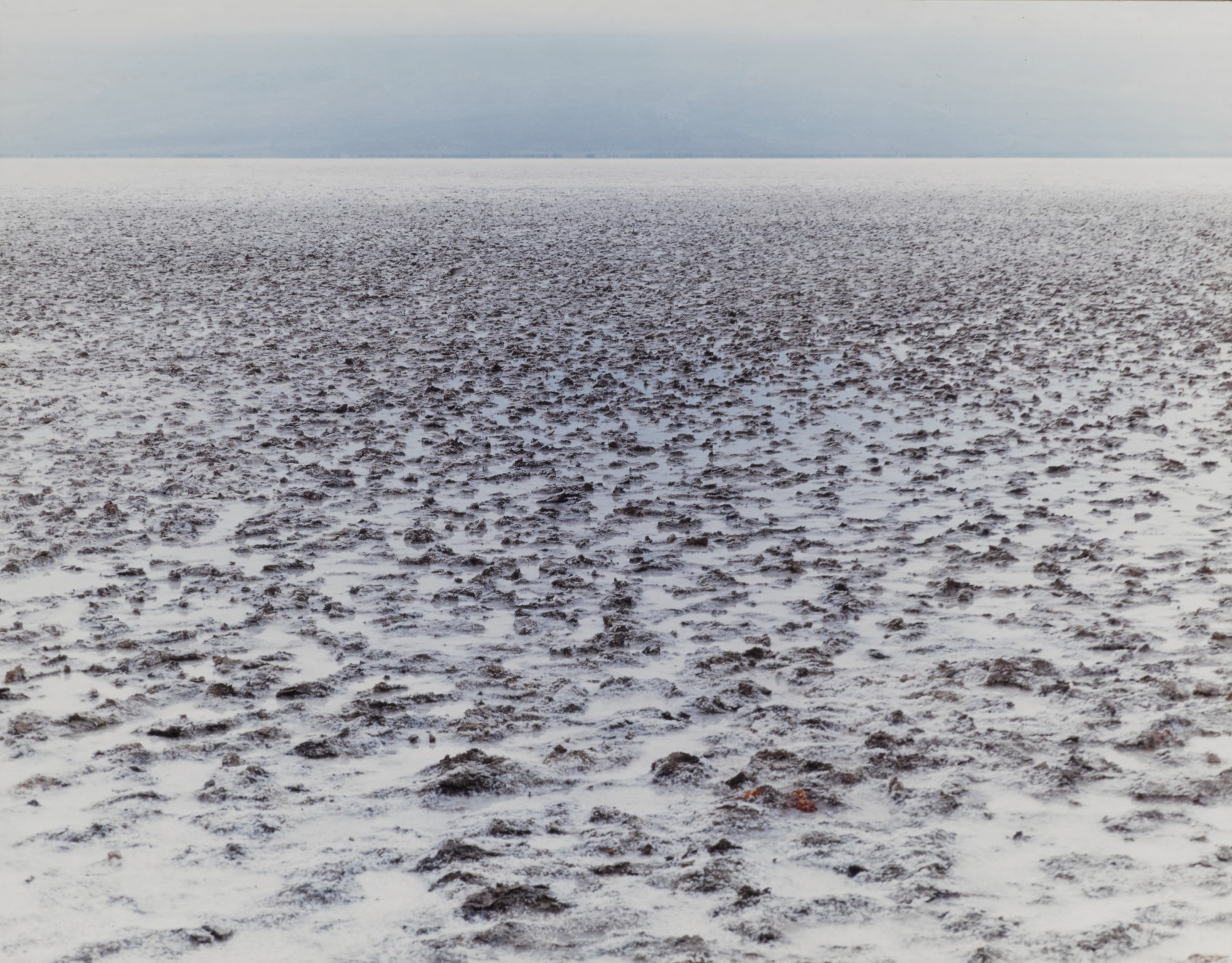  275 Feet Below Sea Level Photographs 2021 Sotheby s