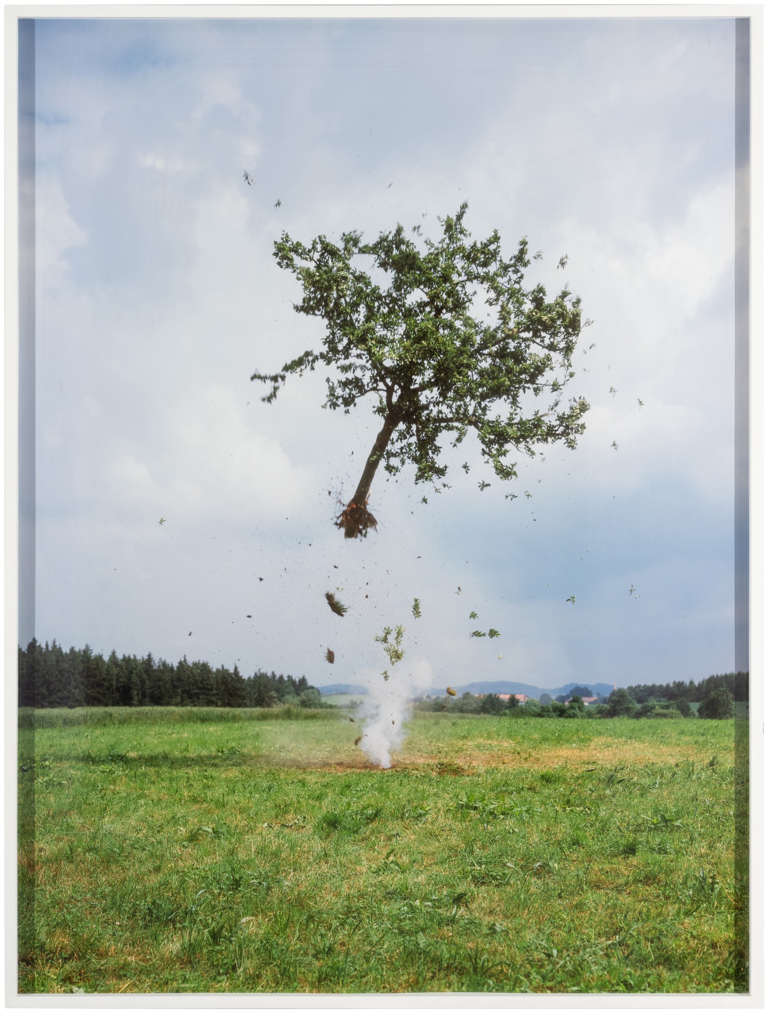 Raketenbaum (Rocket Tree) | Contemporary Passions | 2021 | Sotheby's