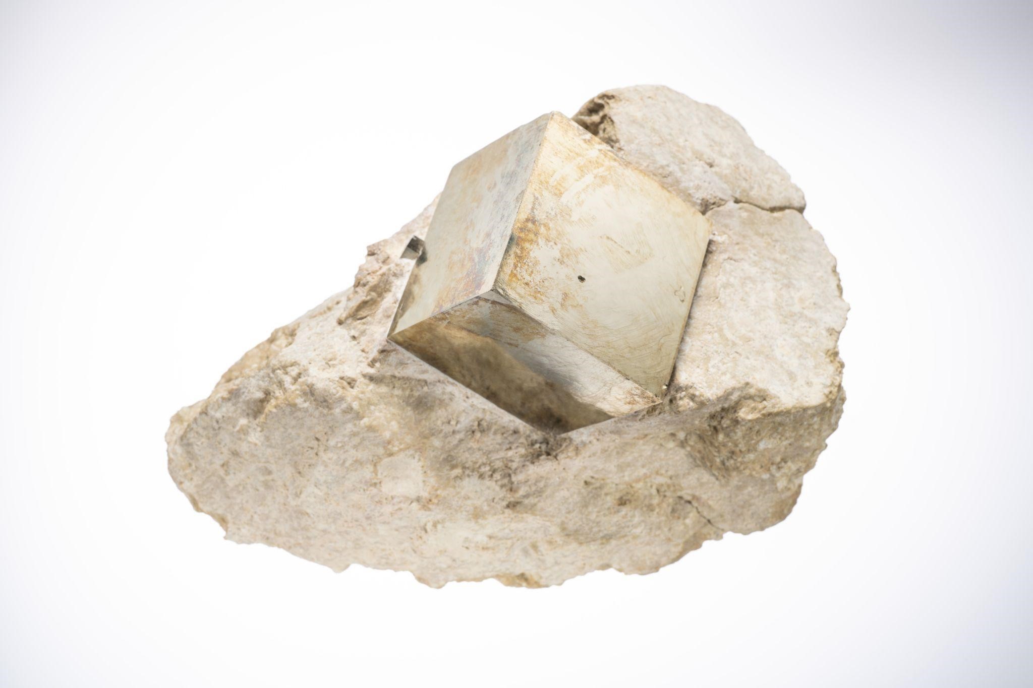 Pyrite on Rhyolite | Natural History, including Gorgosaurus | 2022 ...