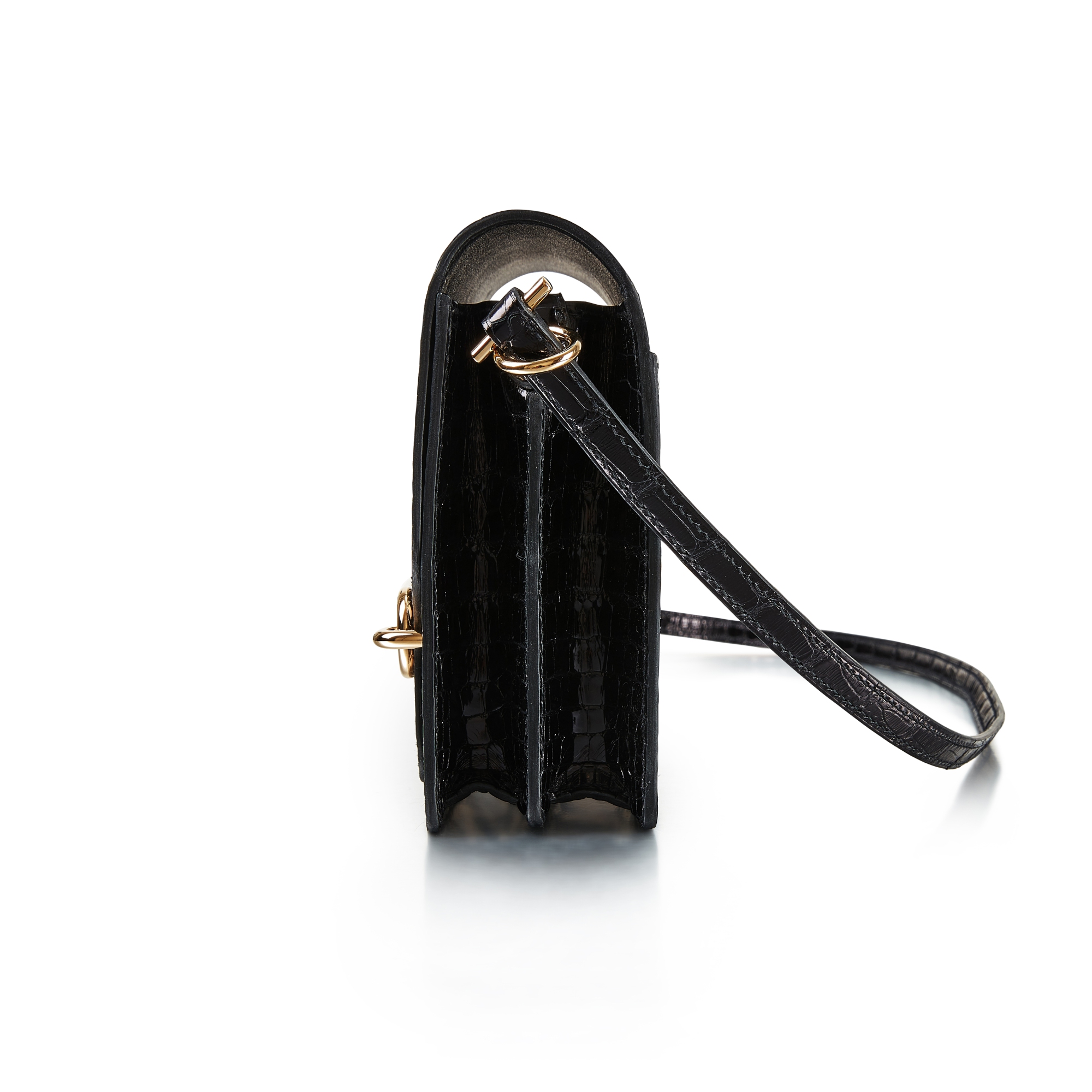 Noir Shiny Alligator Mini Roulis 18 Gold Hardware, 2021 | Handbags ...