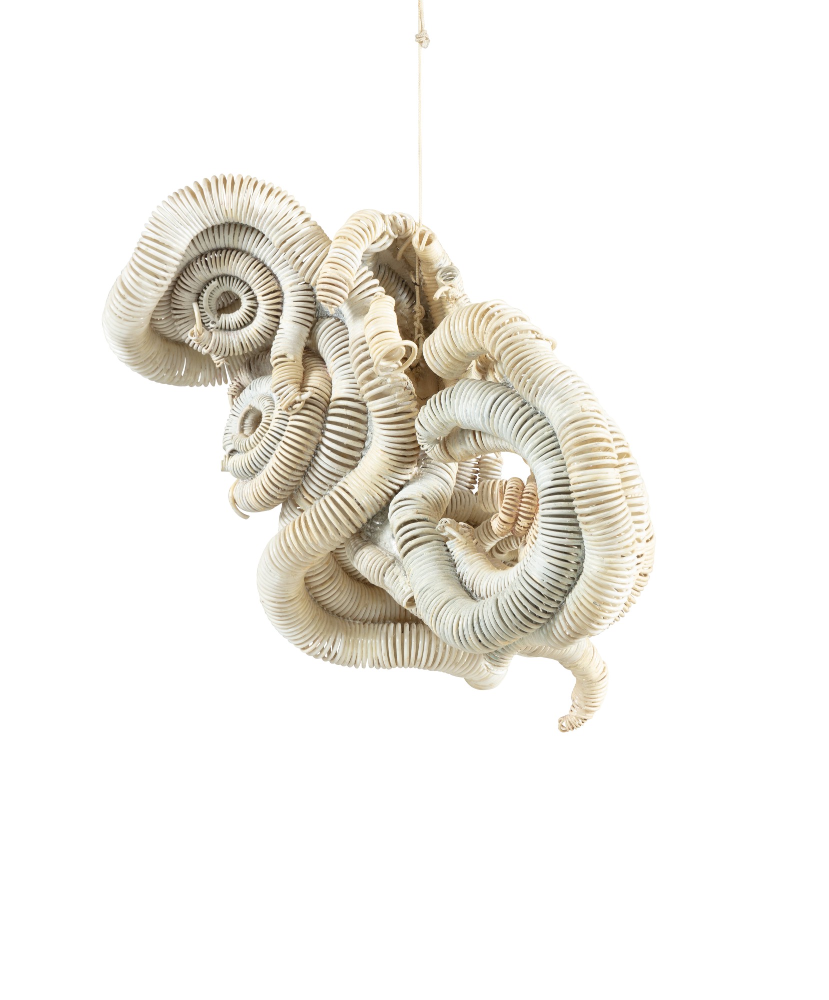 Untitled | Daniel Cordier, Collection privée | 2021 | Sotheby's