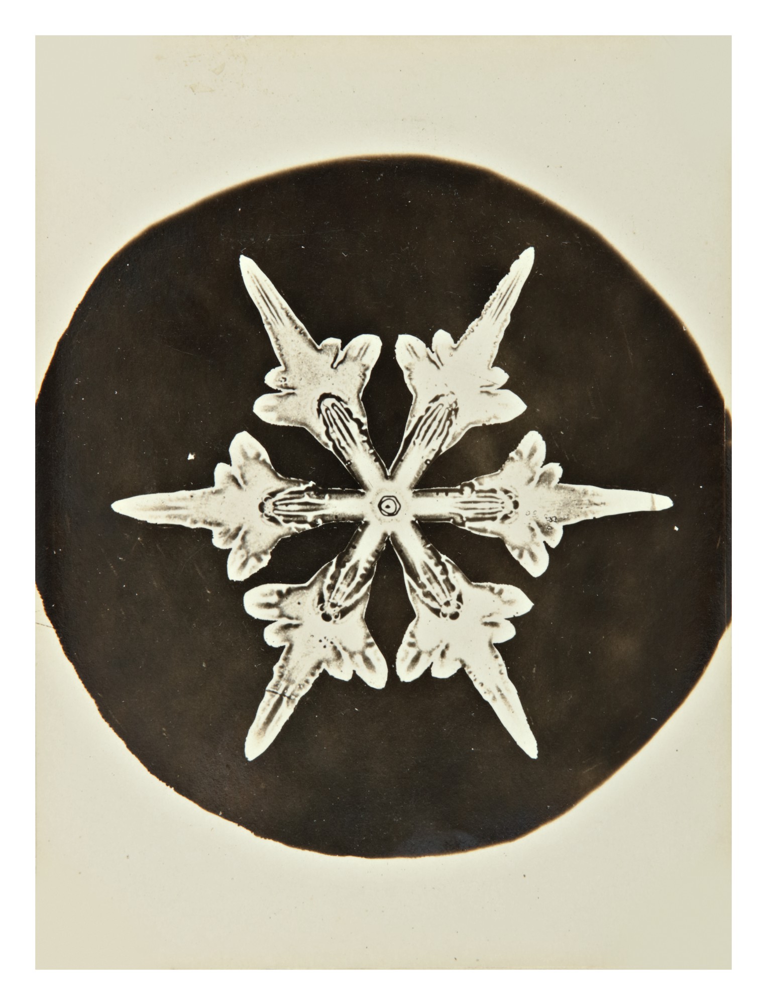WILSON A. BENTLEY | SELECTED IMAGES OF SNOWFLAKES | Classic Photographs ...