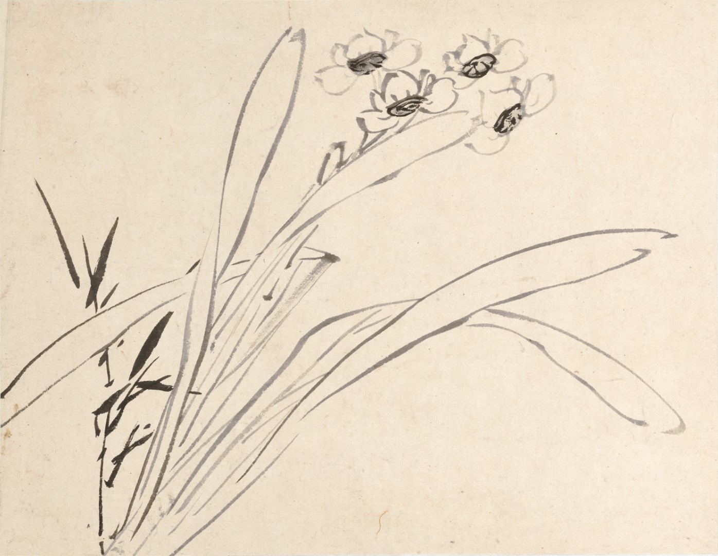 陸恢 花菓冊 | Lu Hui, Fruits and Flower | Fine Chinese Paintings | | Sotheby's