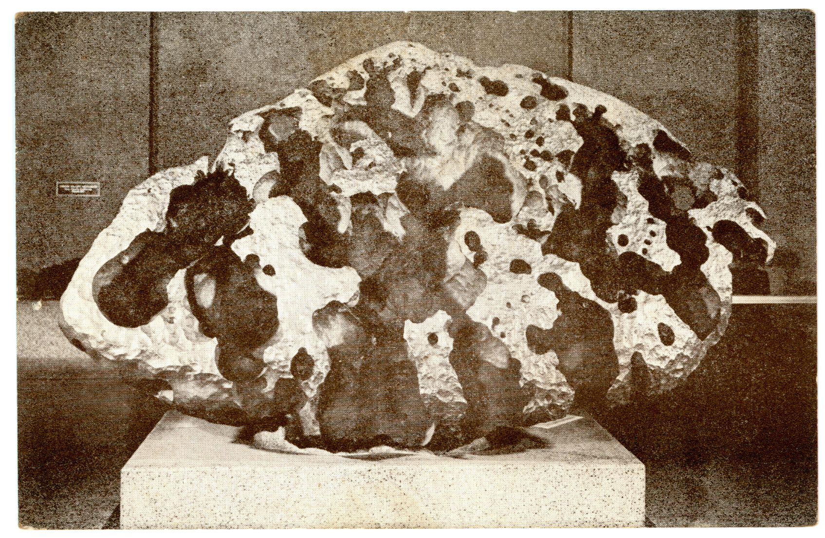 Willamette Meteorite | Partial Slice Of The Crown Jewel Of Meteorites ...