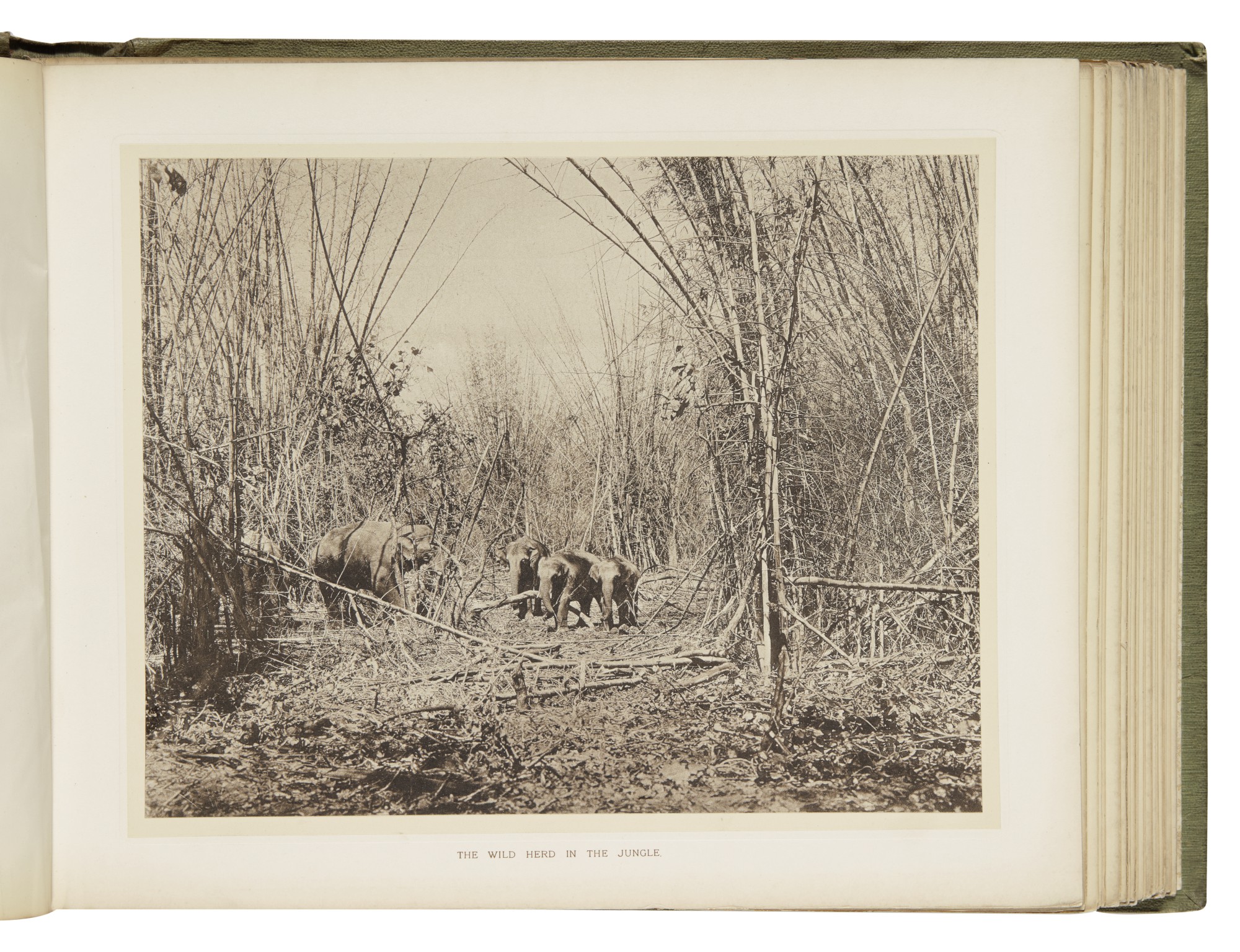 [INDIA — TRAVEL AND SPORTING PHOTOGRAPHY] — M. MUTTANNAH [PHOTOGRAPHER ...