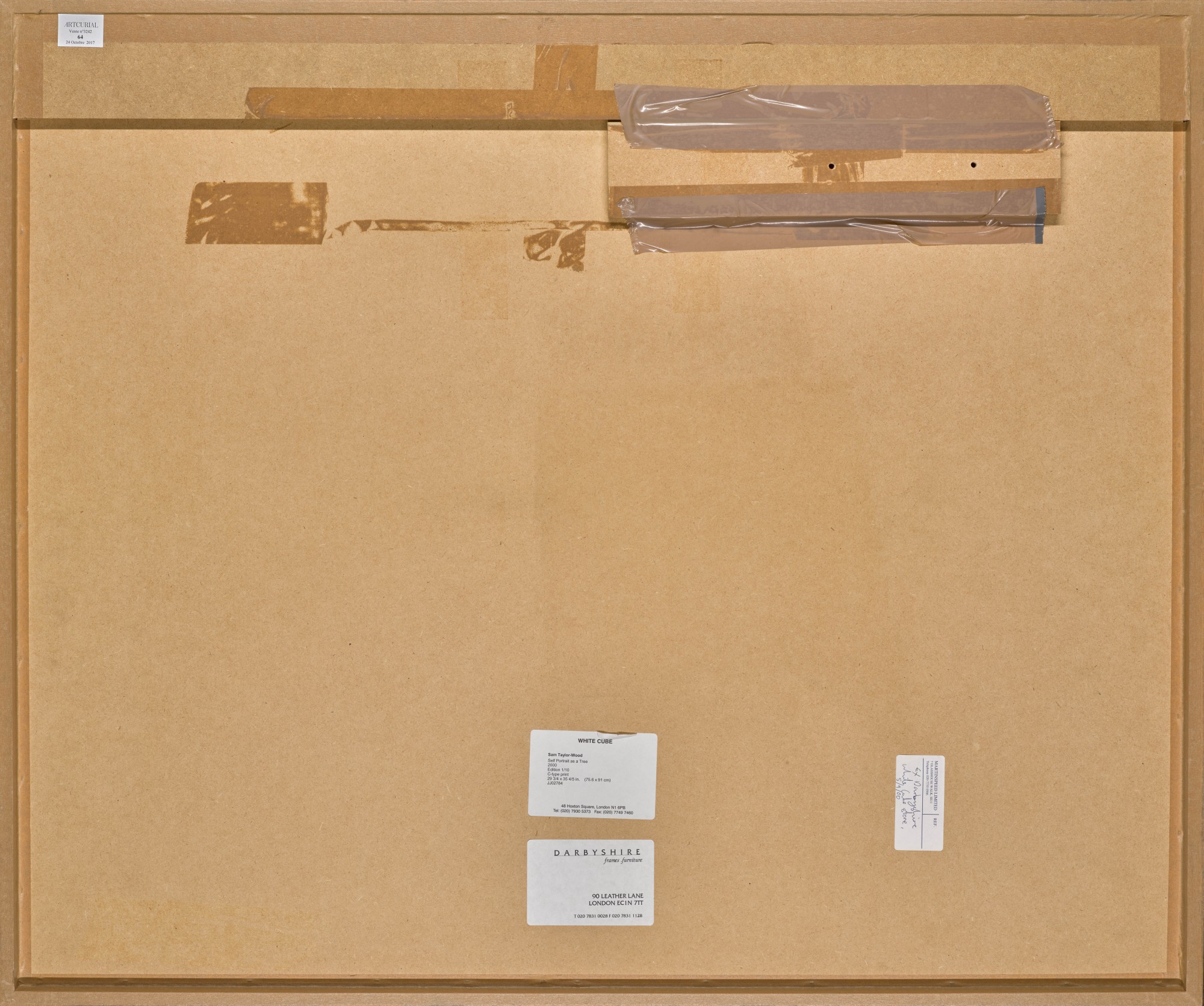 SAM TAYLOR-JOHNSON | SELF PORTRAIT AS A TREE | Eclectic | London | 2020 ...