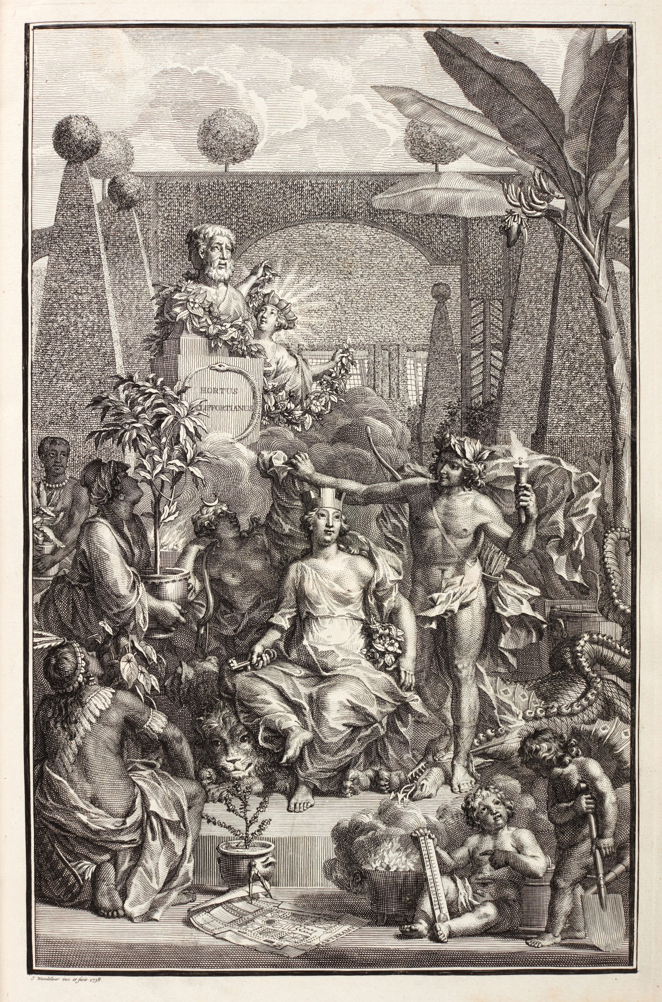 Carl Linnaeus | Hortus Cliffortianus, Amsterdam, 1737, contemporary ...