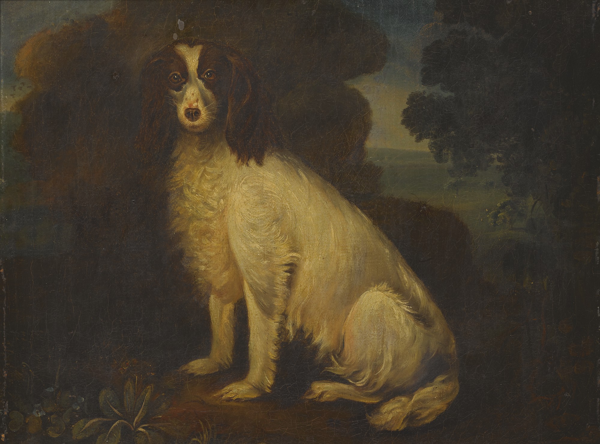 FOLLOWER OF GEORGE STUBBS | SPANIEL IN A LANDSCAPE | Mario Buatta ...