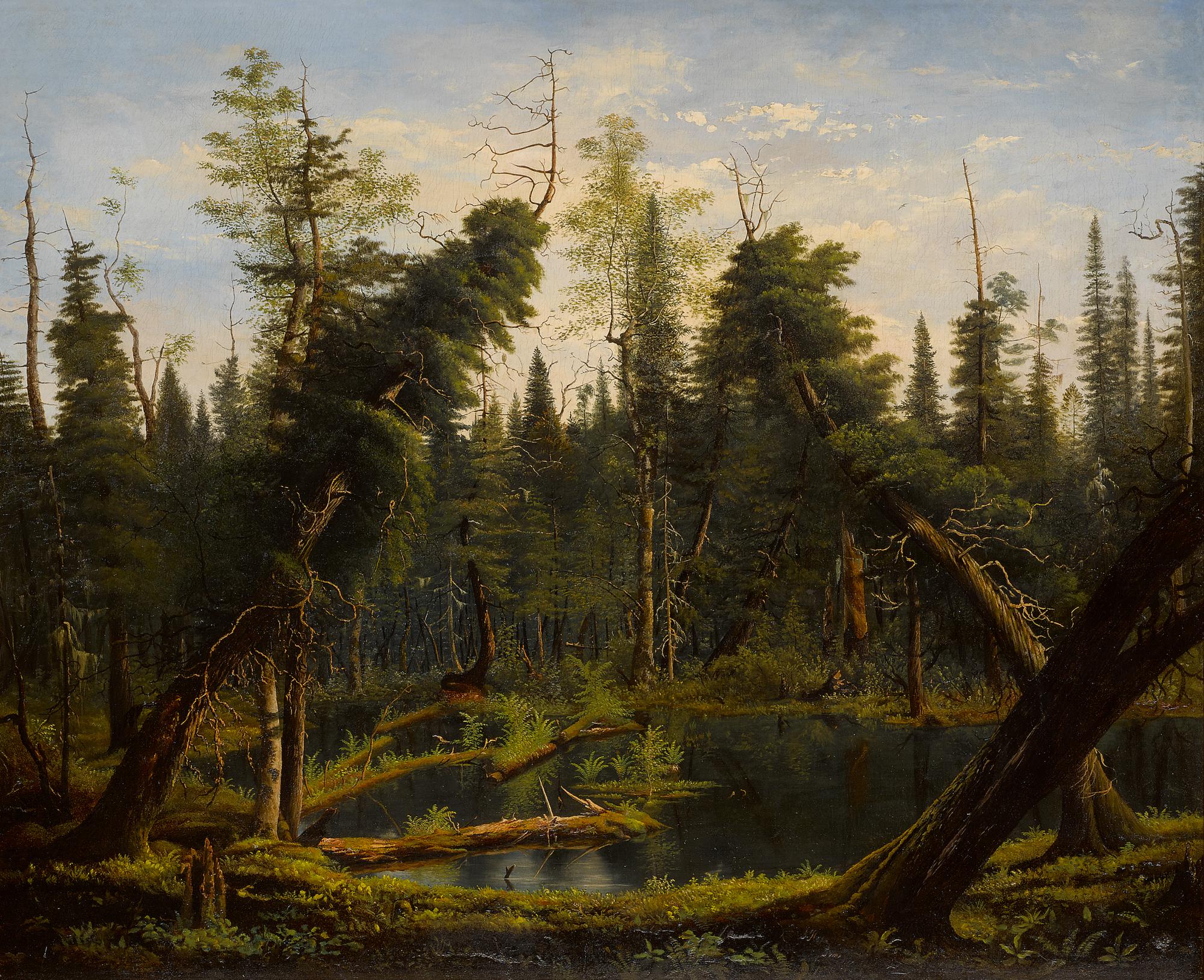 JAMES HOPE | CEDAR SWAMP | American Art Online | 2020 | Sotheby's