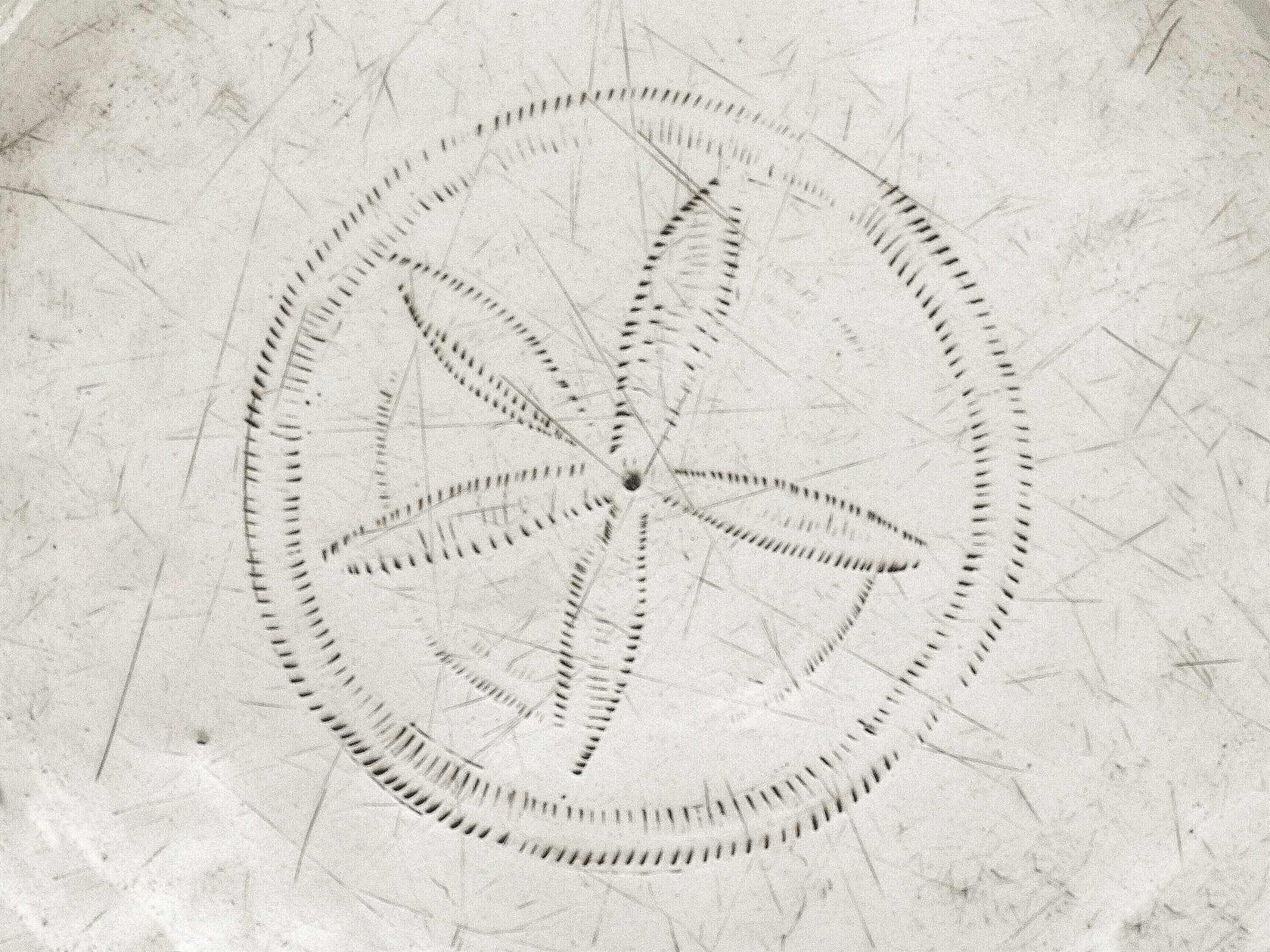 An Elizabeth I silver chalice and paten, maker's mark A, possibly for ...