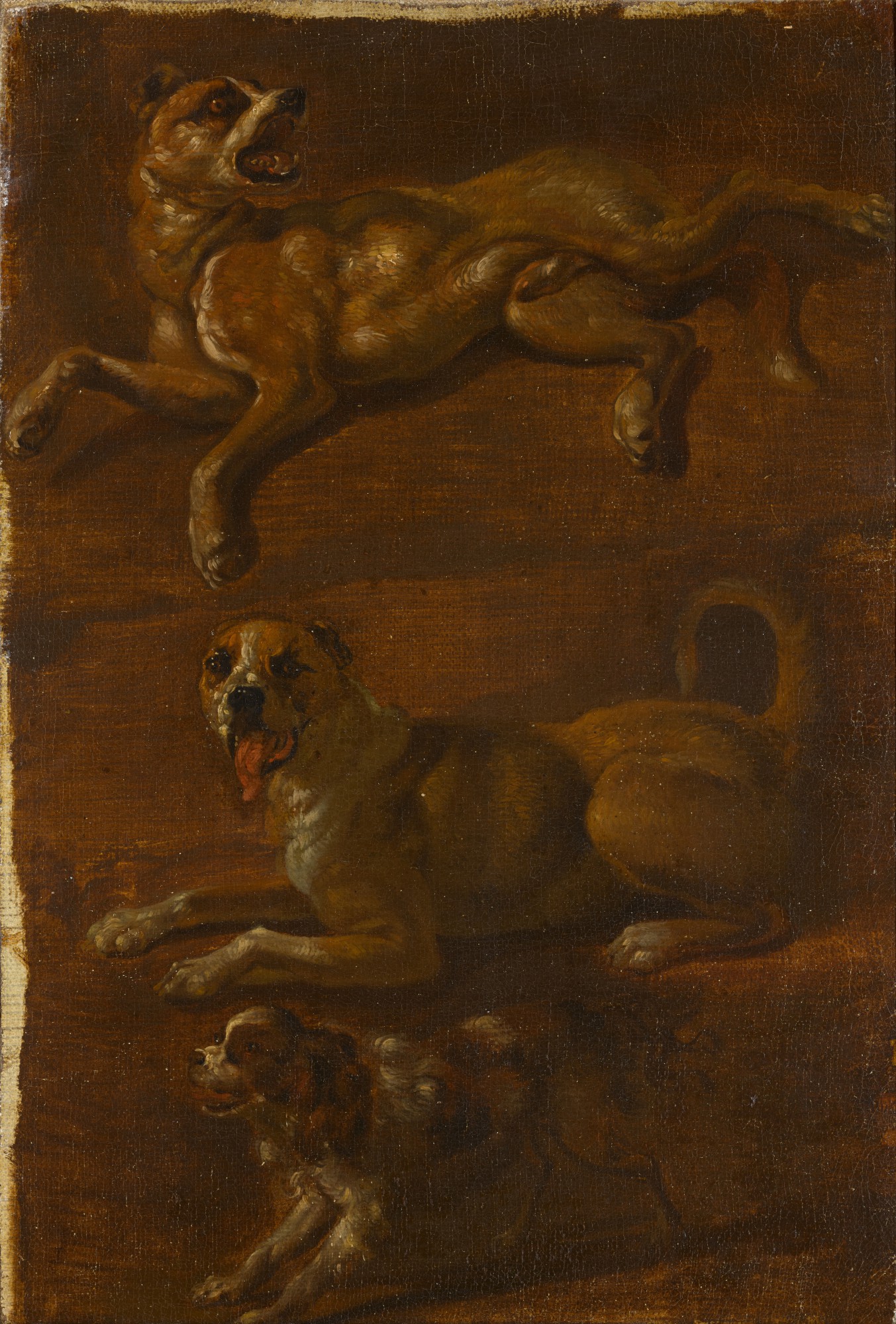 Three studies of dogs | Old Master Paintings and Portrait Miniatures ...