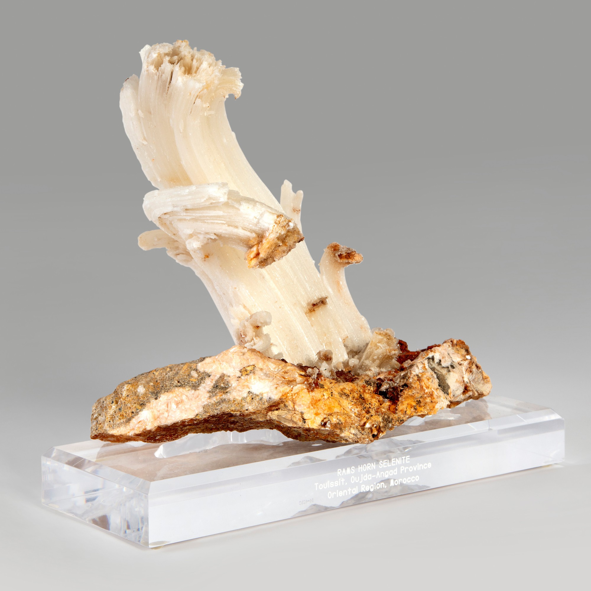 Selenite | Fearless: The Collection of Hester Diamond Part II | 2021 ...