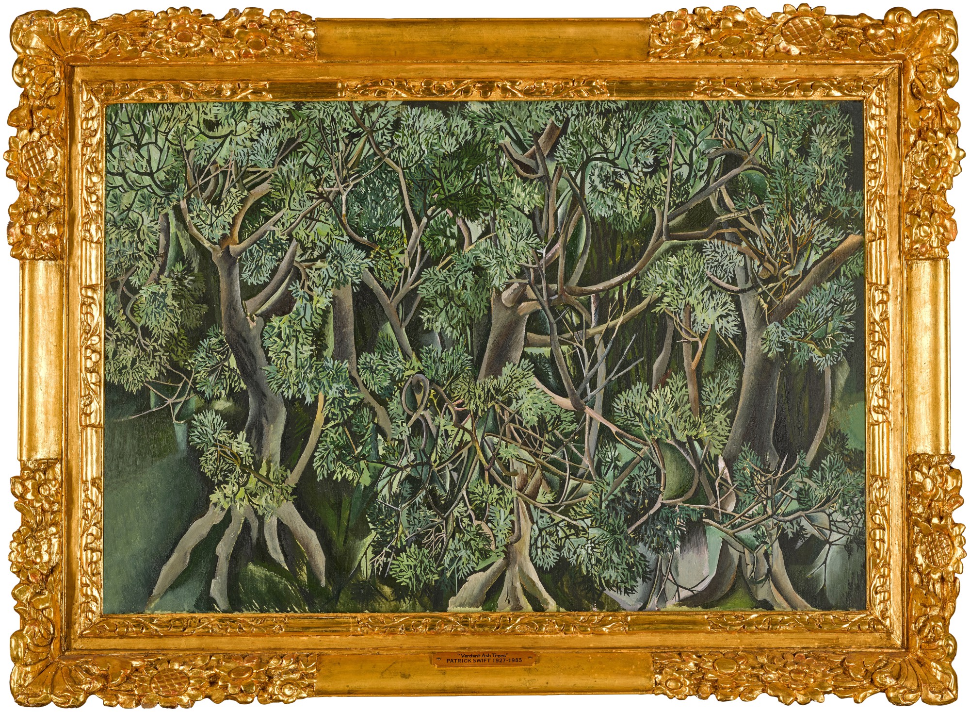 Verdant Ash Trees | Monte Alverno - An Irish Private Collection ...