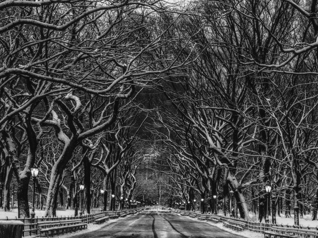 Poets' Souls | 80th Anniversary Charity Art Auction to Benefit the ...