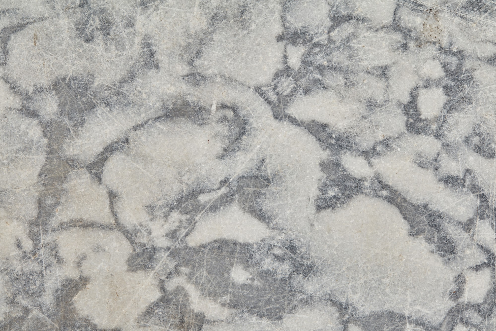 'King of Prussia' Clouded Limestone Slab, Quarried in Pennsylvania ...