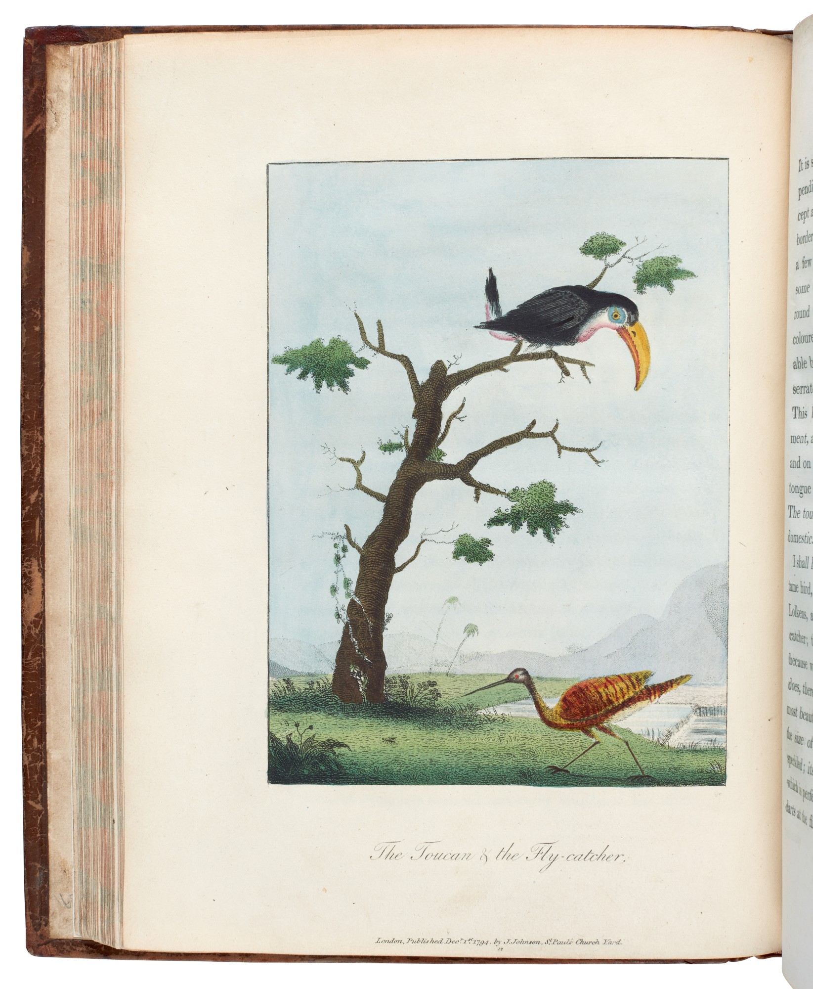 STEDMAN | Narrative of a five years' expedition against the revolted ...