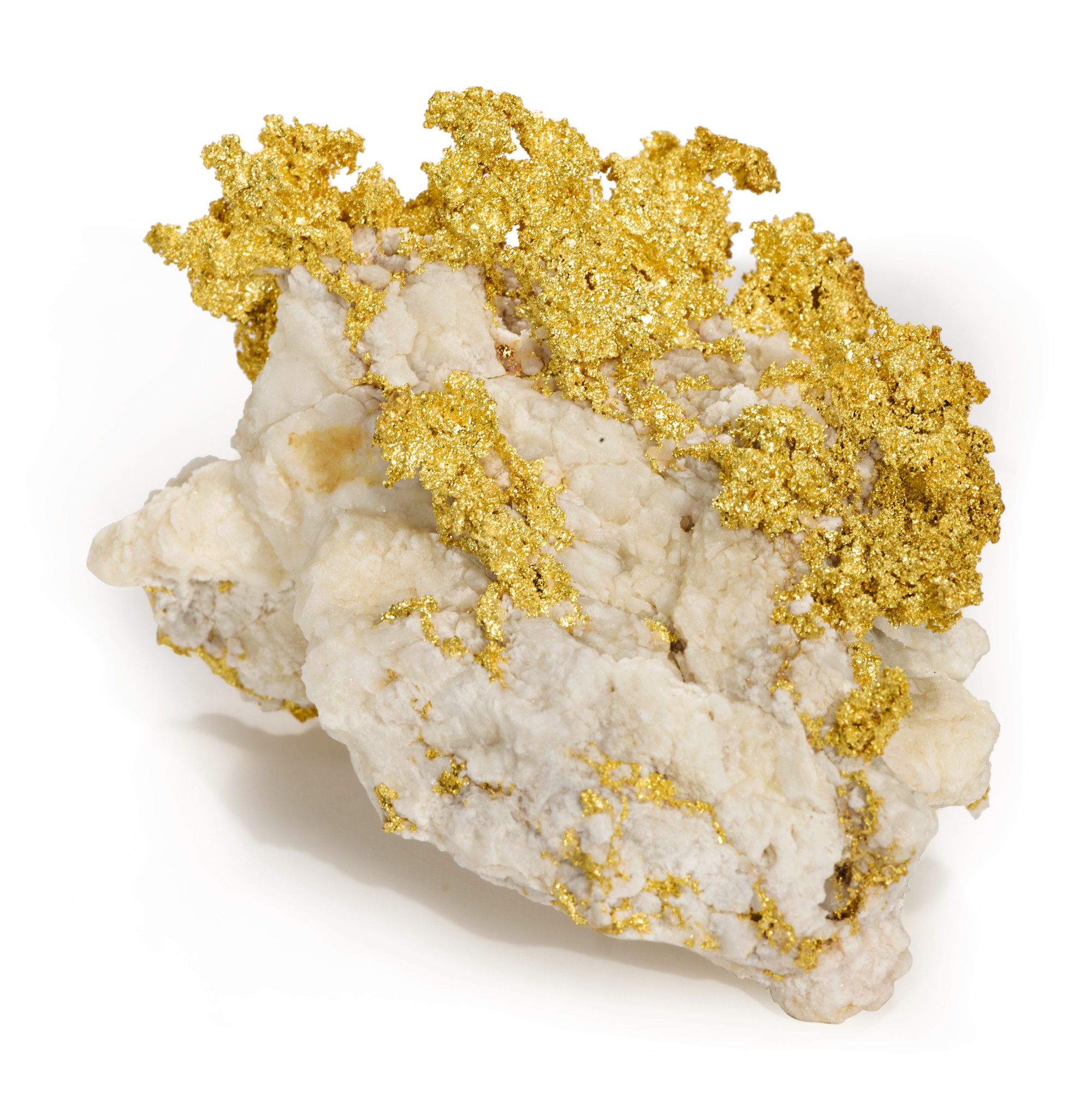 CLASSIC GOLD IN QUARTZ SPECIMEN | Natural History; Including Fossils ...