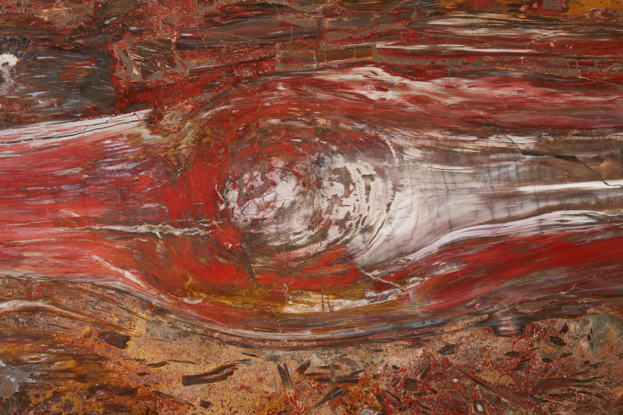 Petrified Wood Knot Log | Natural History | 2021 | Sotheby's