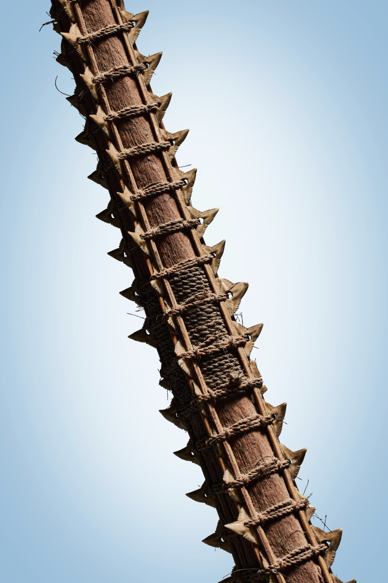 Shark Tooth Sword, Kiribati | The Blue Horizon: Pacific Art from an ...