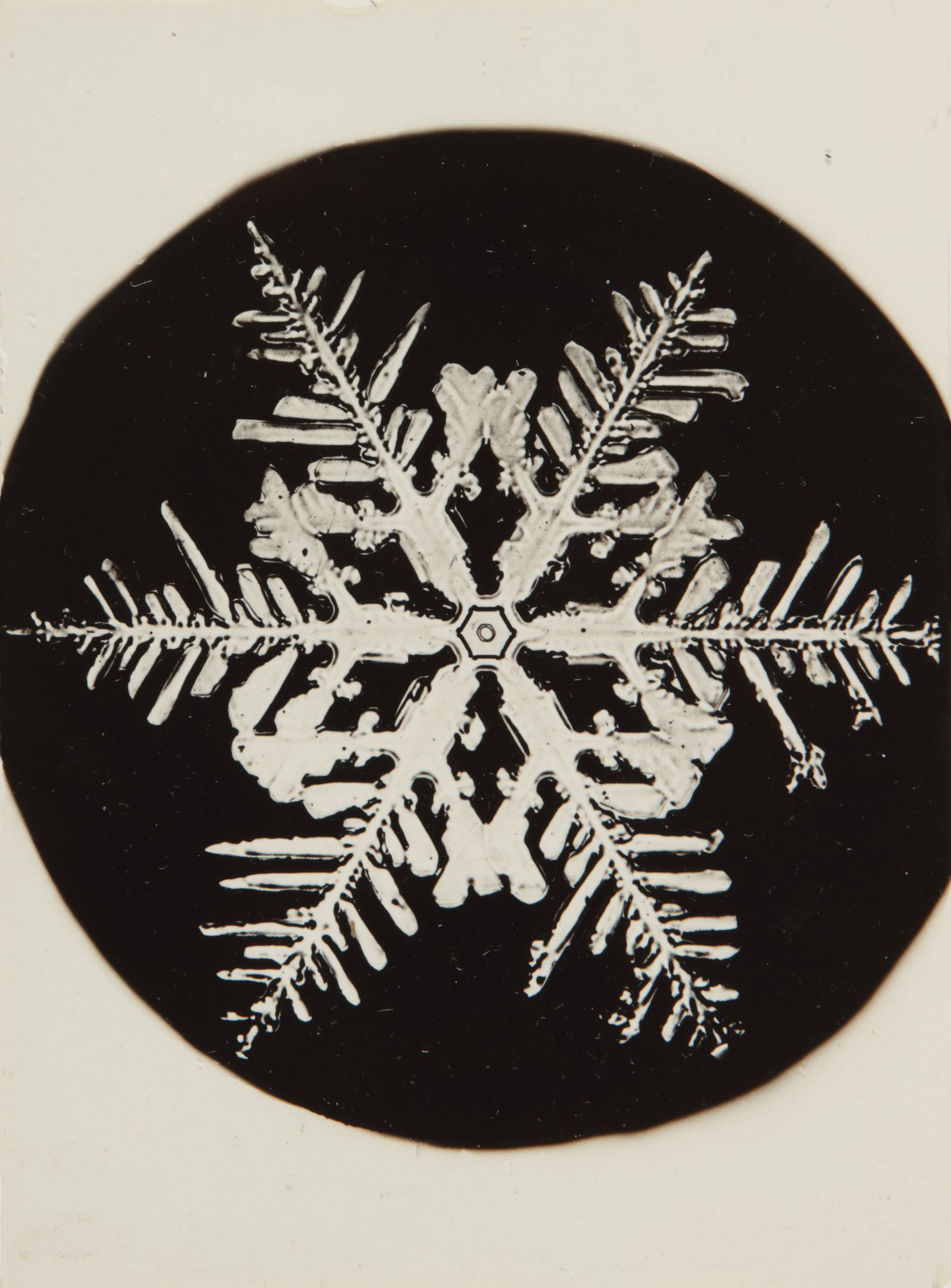 WILSON A. BENTLEY | SELECTED IMAGES OF SNOWFLAKES | Photographs | 2020 ...
