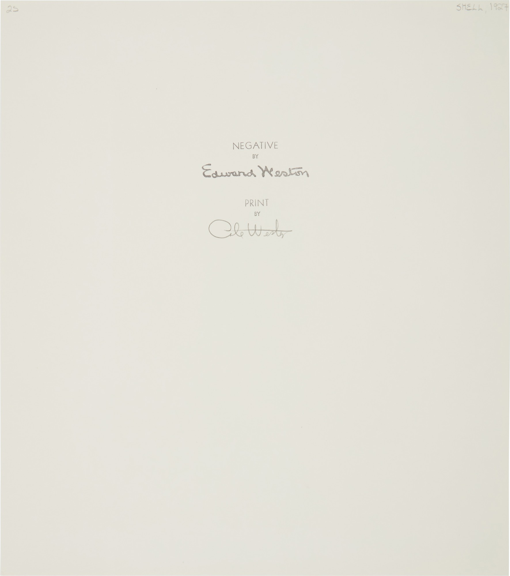 Nautilus Shell | Classic Photographs | 2021 | Sotheby's