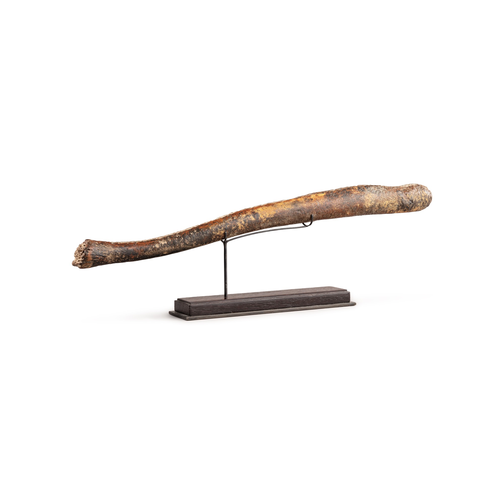 Walrus baculum club, Inuit, Alaska, 18th-19th century | Massue en os ...