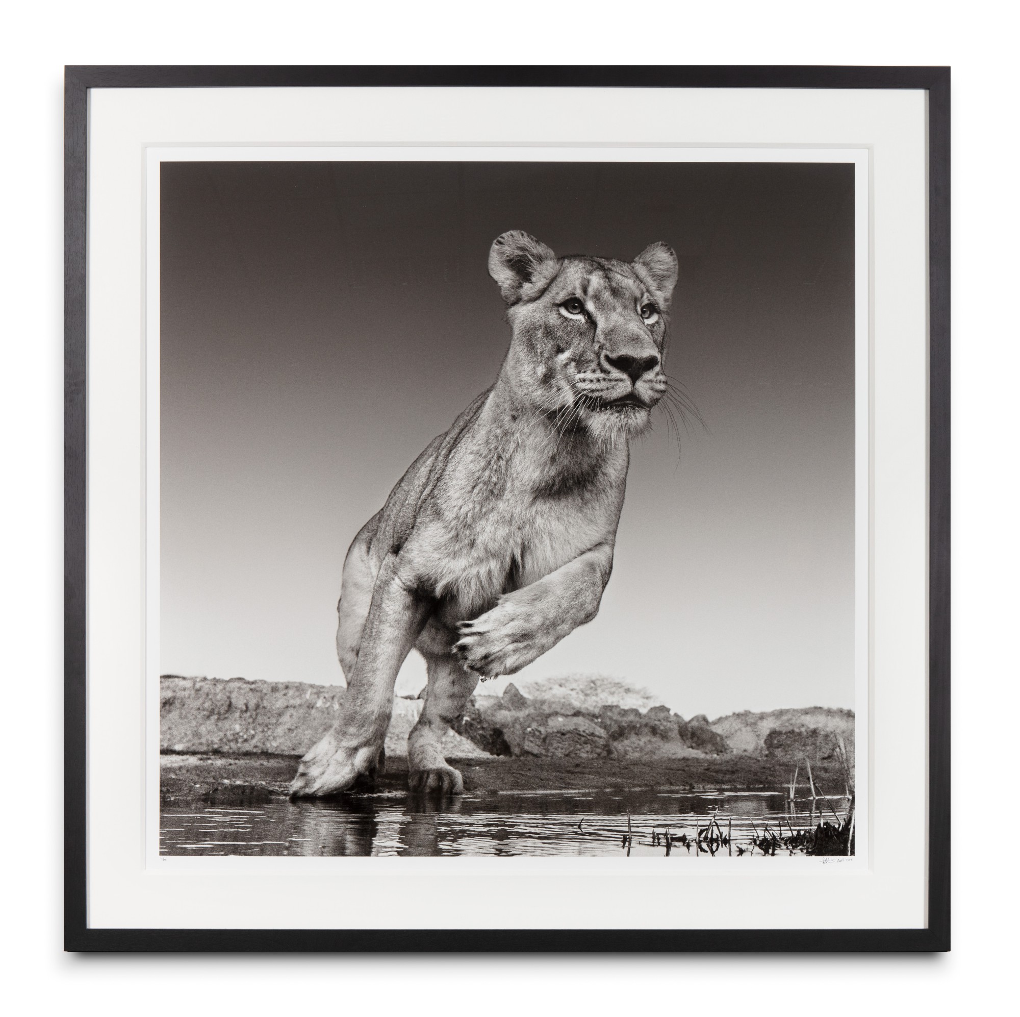 DAVID YARROW | EMMA, DINOKENG, SOUTH AFRICA, 2017 | NOW! | 2020 | Sotheby's