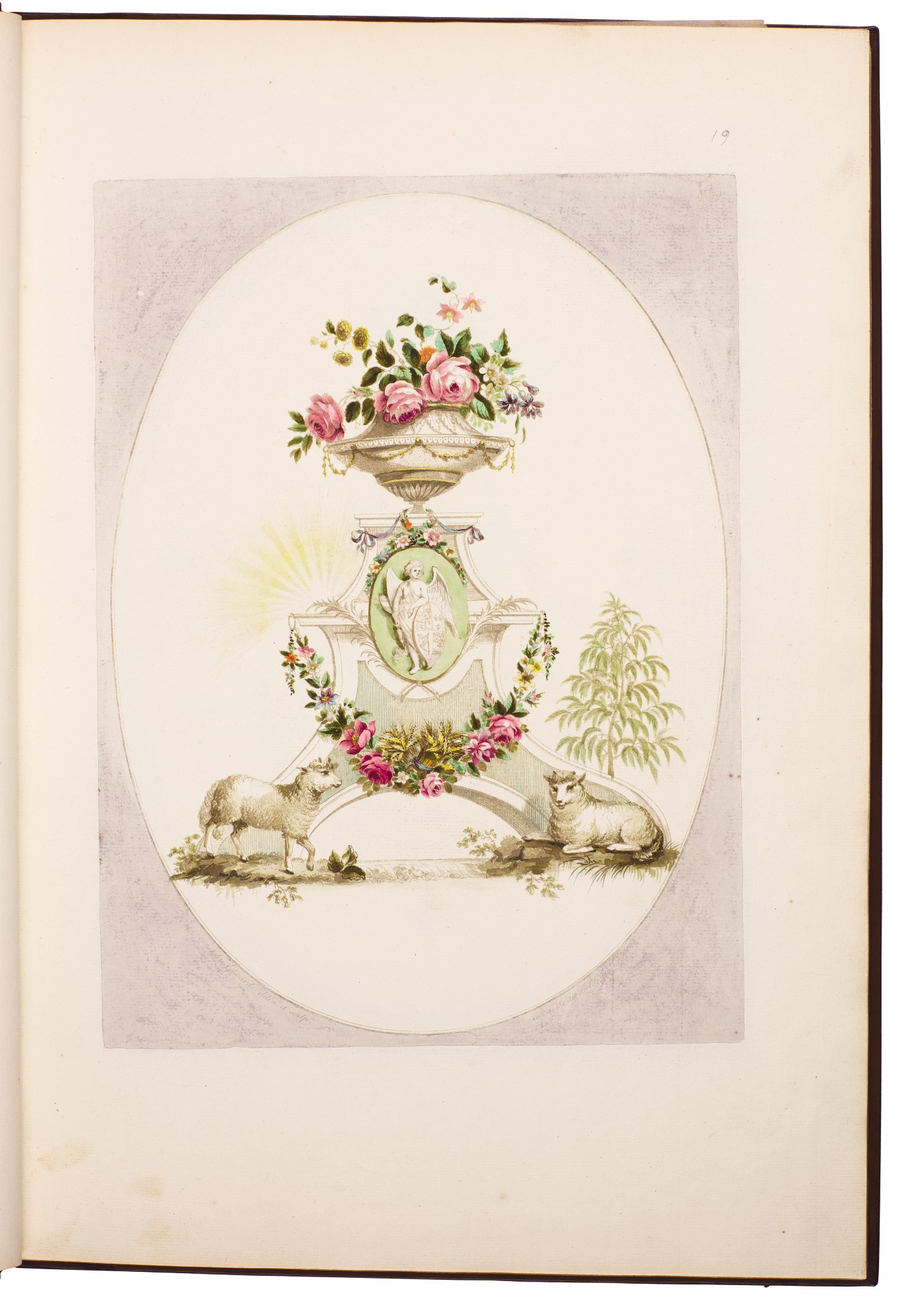 Edwards | A Collection of Flowers drawn from Nature, [1783-1798 ...