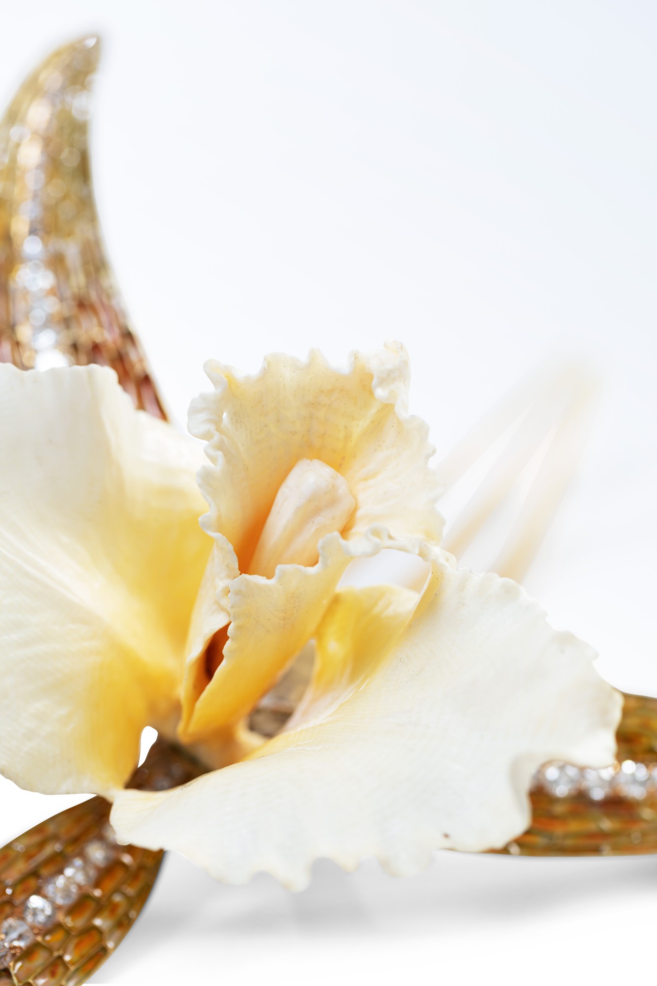 Peigne ivoire, corne, émail et diamants, "Cattleya" | Ivory, horn ...