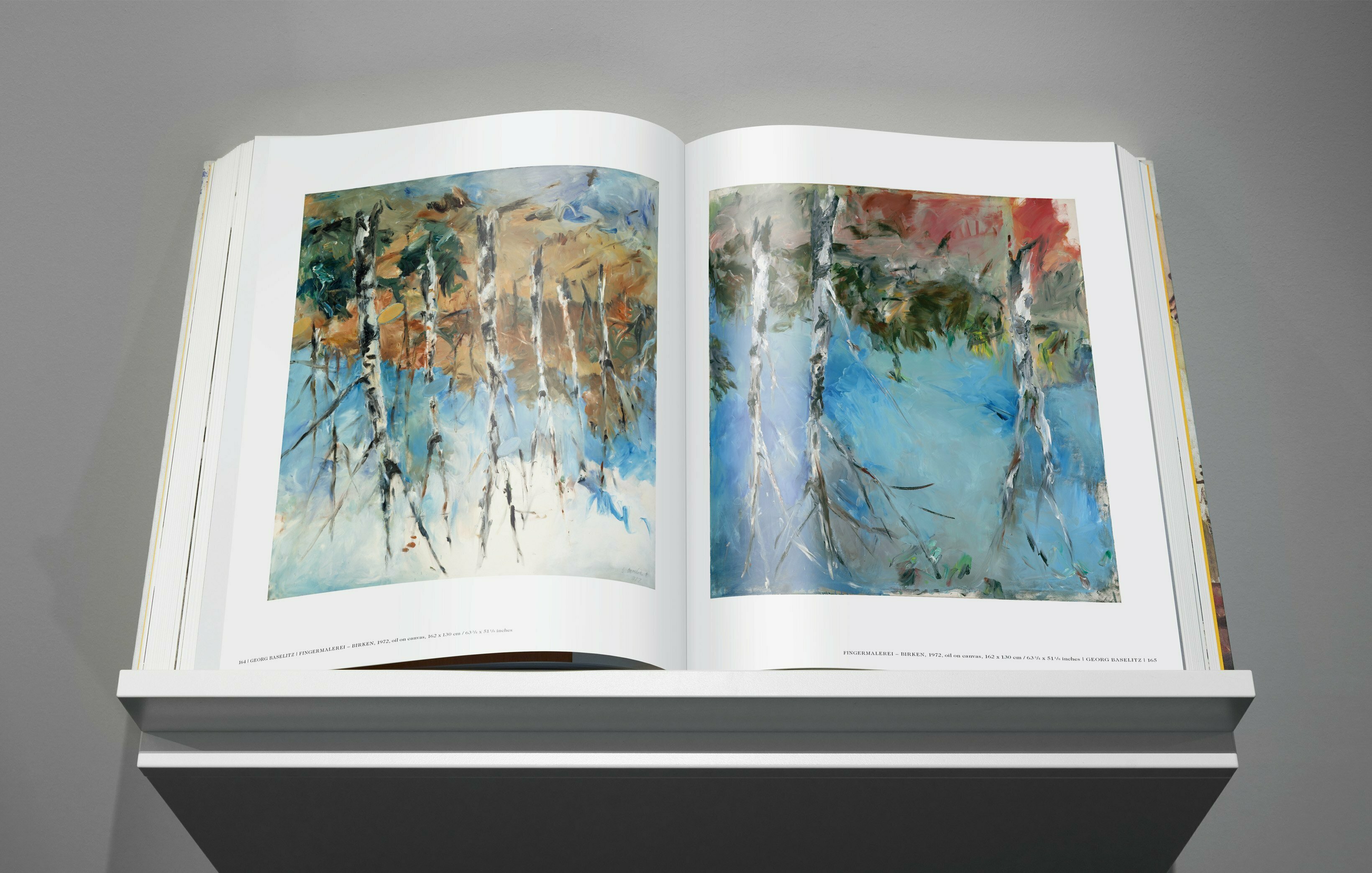 Georg Baselitz (Art Edition with unique cover) | Contemporary ...