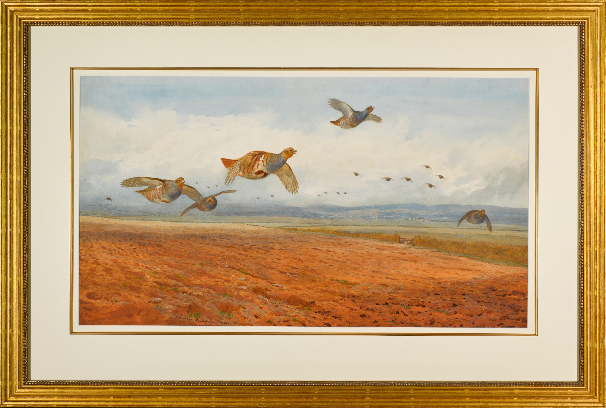 A Covey of Grey Partridge in Flight | European & British Art | 2020 ...