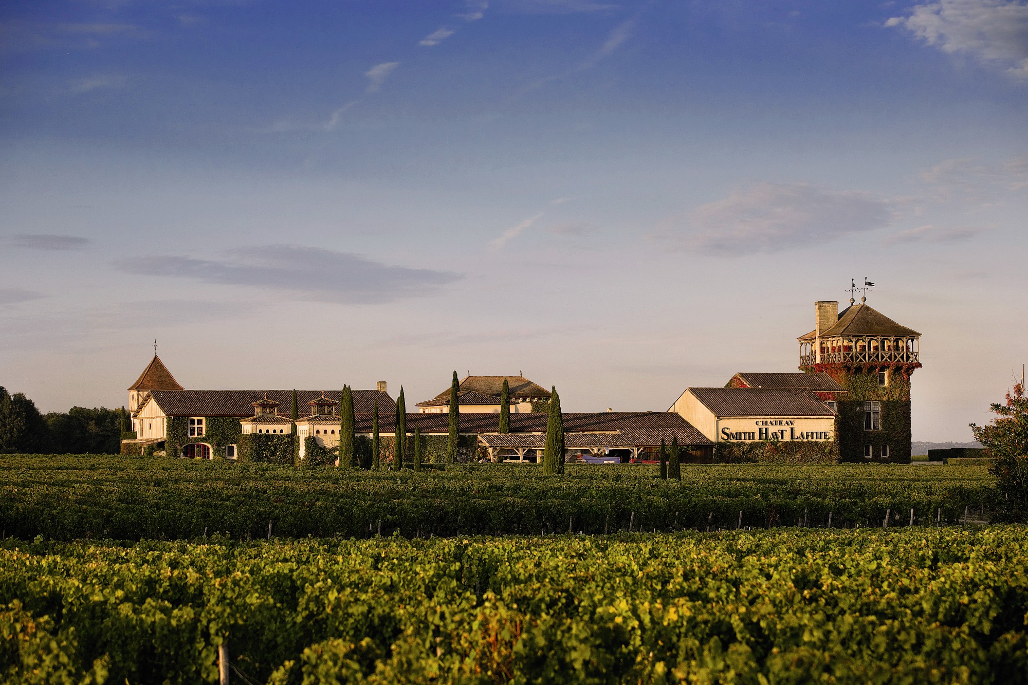 Château Smith Haut Lafitte 2010 (12 BT) | Vine | Finest & Rarest Wines ...