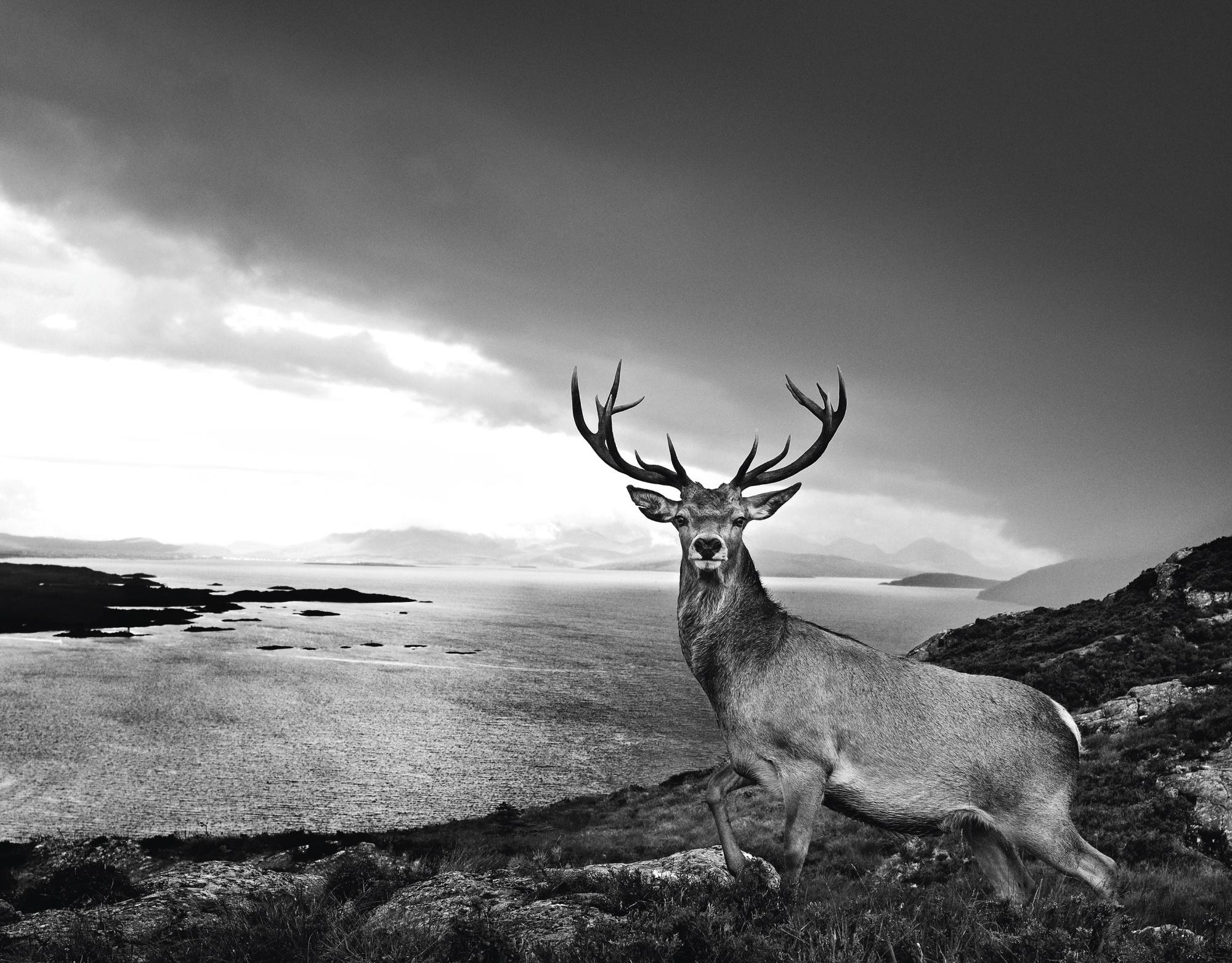 DAVID YARROW | OVER THE SEA TO SKYE, 2017 | Scottish Art | 2019 | Sotheby's