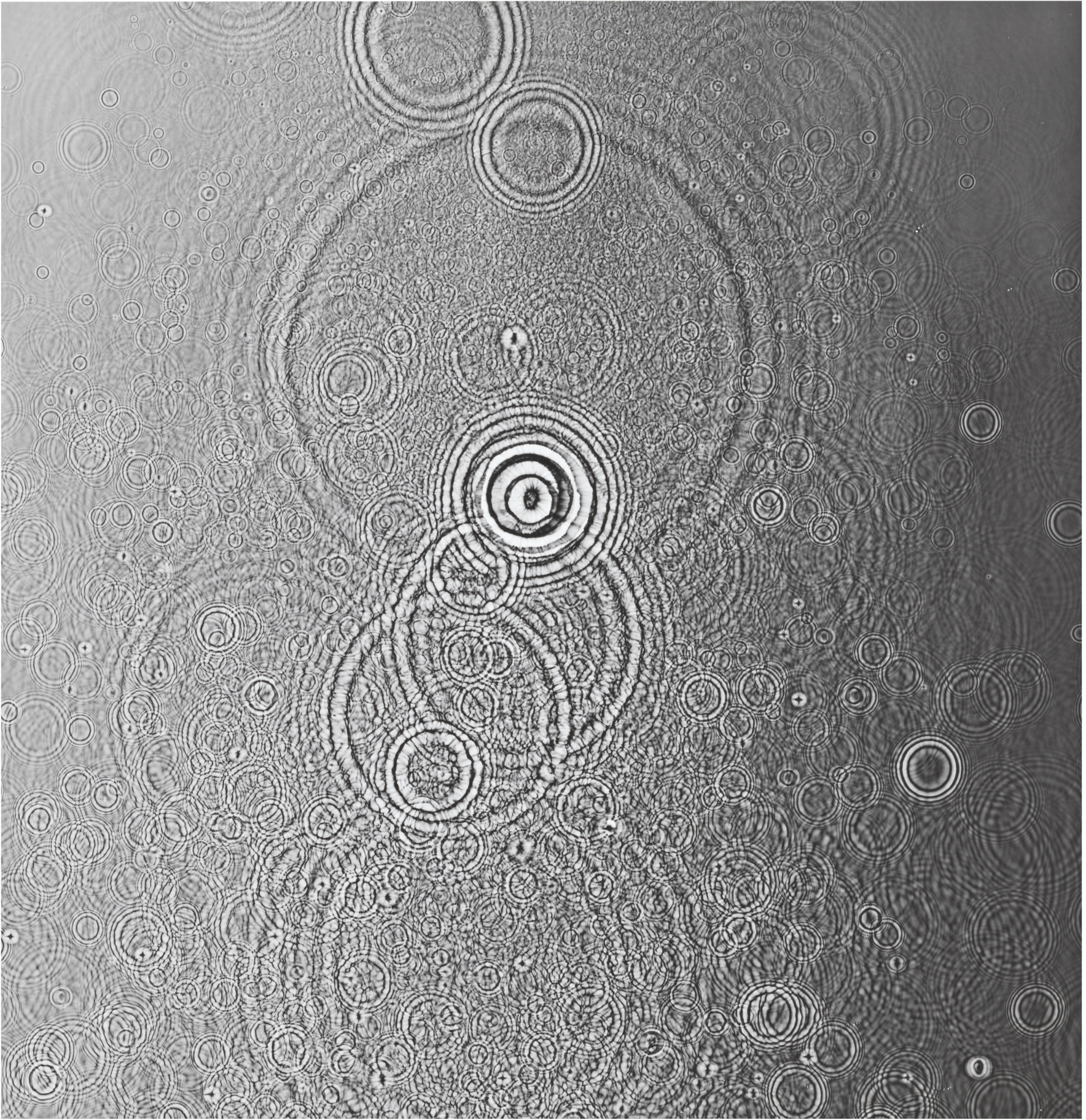 ADAM FUSS | UNTITLED (DROPLETS) | Photographs from the Ginny Williams ...