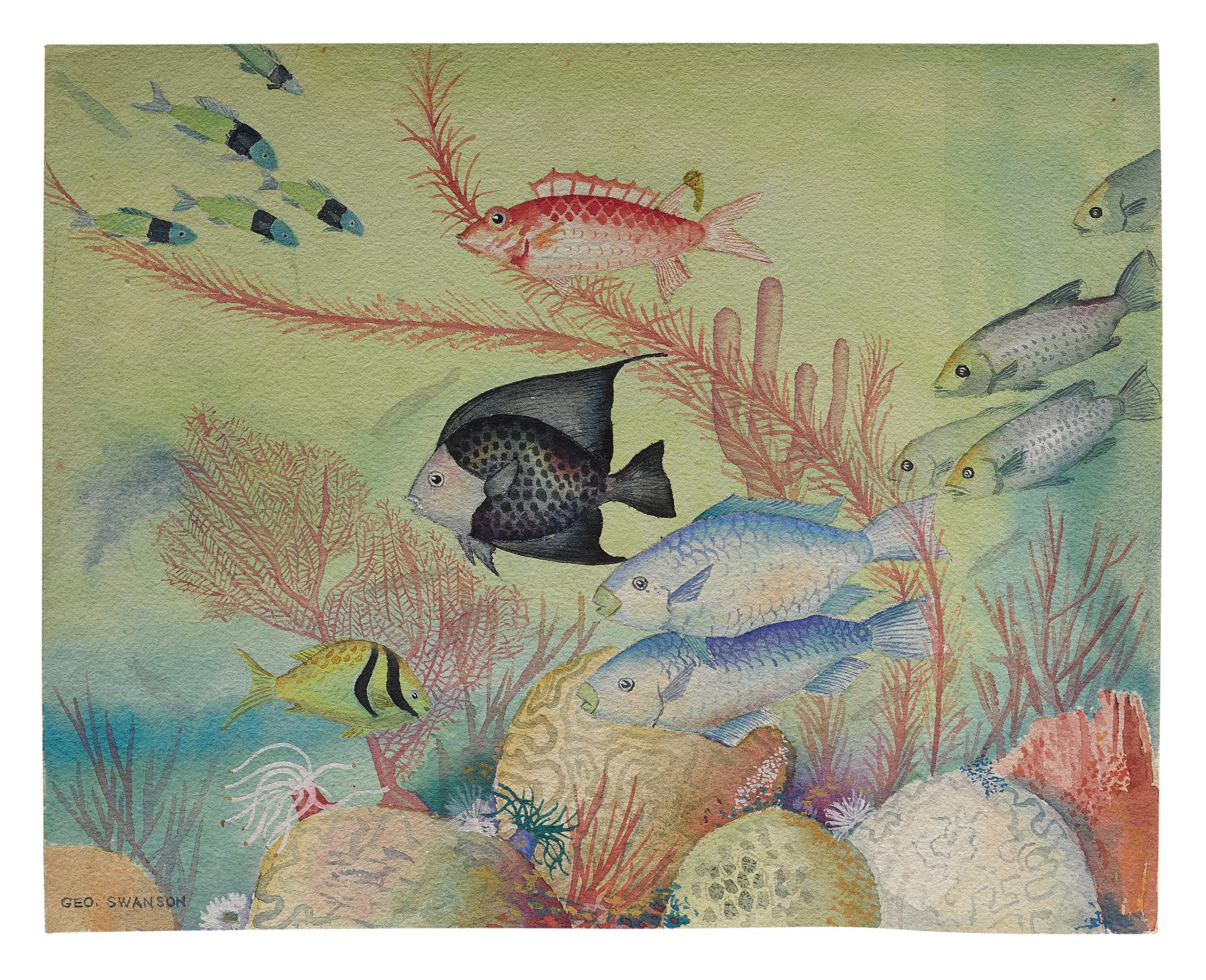 FISH ON A REEF | The Art of Expedition: The Works of George Swanson ...