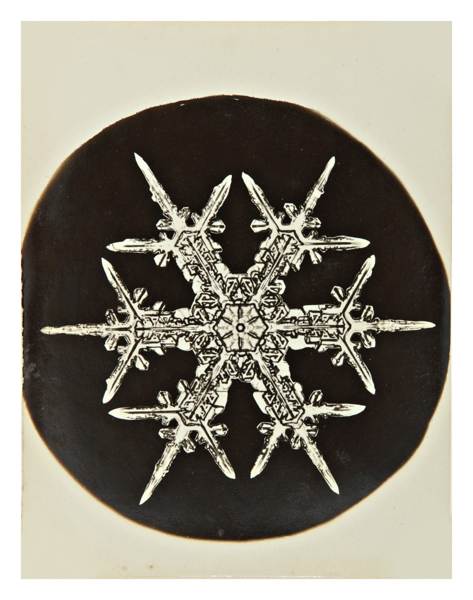 WILSON A. BENTLEY | SELECTED IMAGES OF SNOWFLAKES | Classic Photographs ...