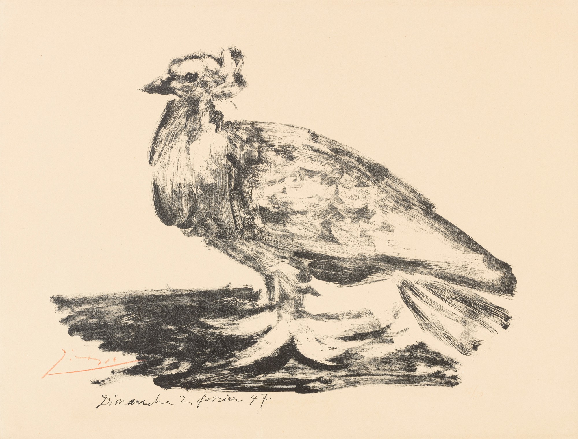 PABLO PICASSO | LE GROS PIGEON (B. 419; M. 66) | Prints & Multiples ...