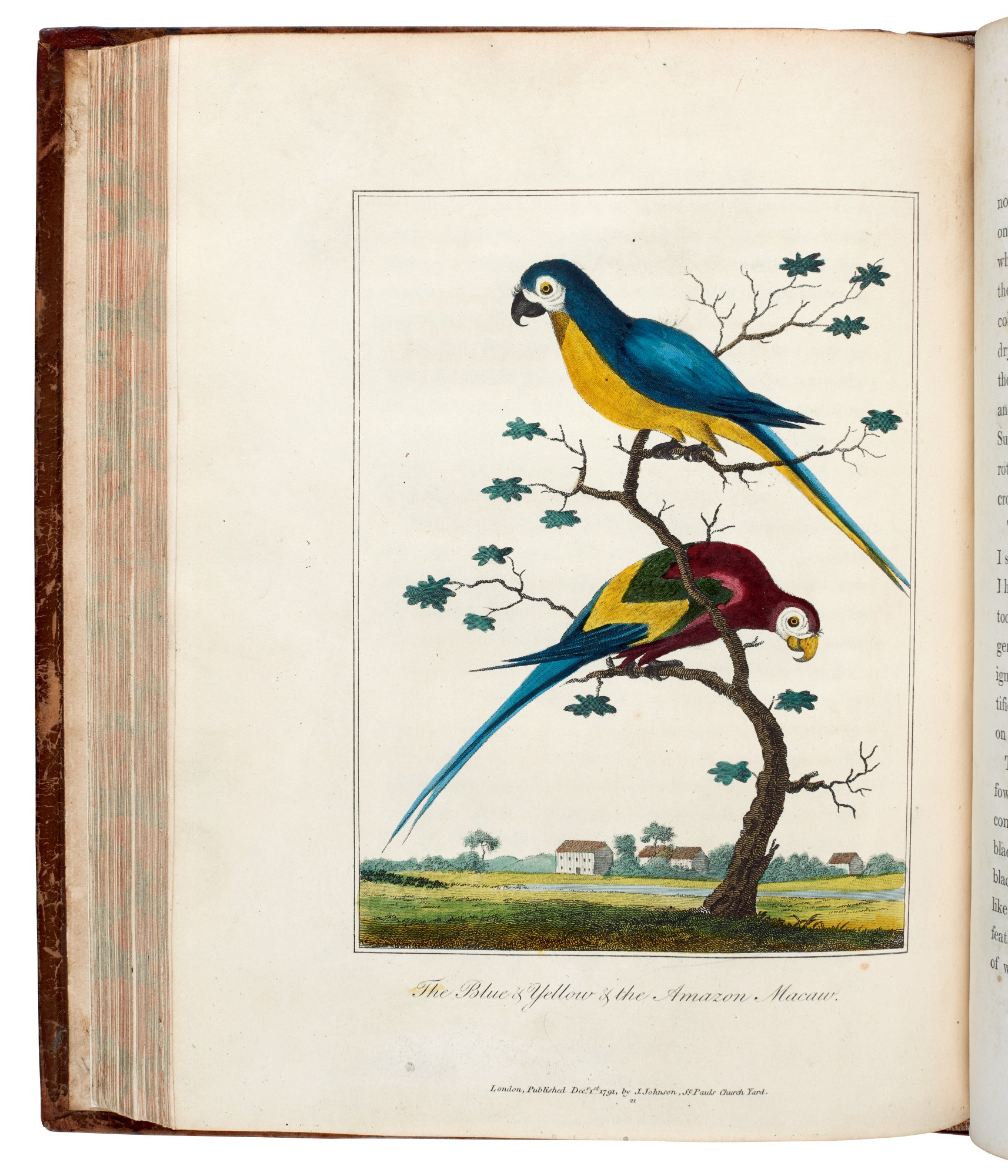 STEDMAN | Narrative of a five years' expedition against the revolted ...