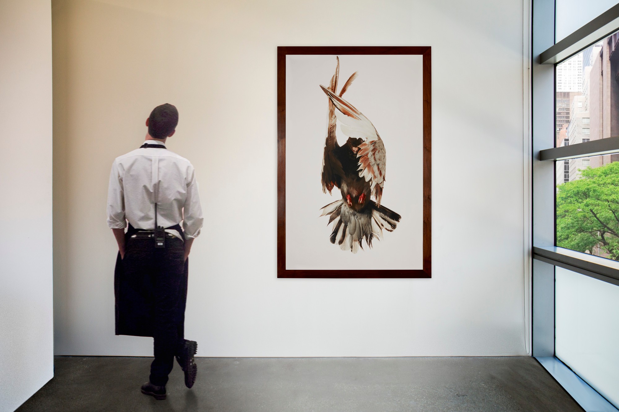 ROE ETHRIDGE | PIGEON | Contemporary Art Online | New York | 2019 ...