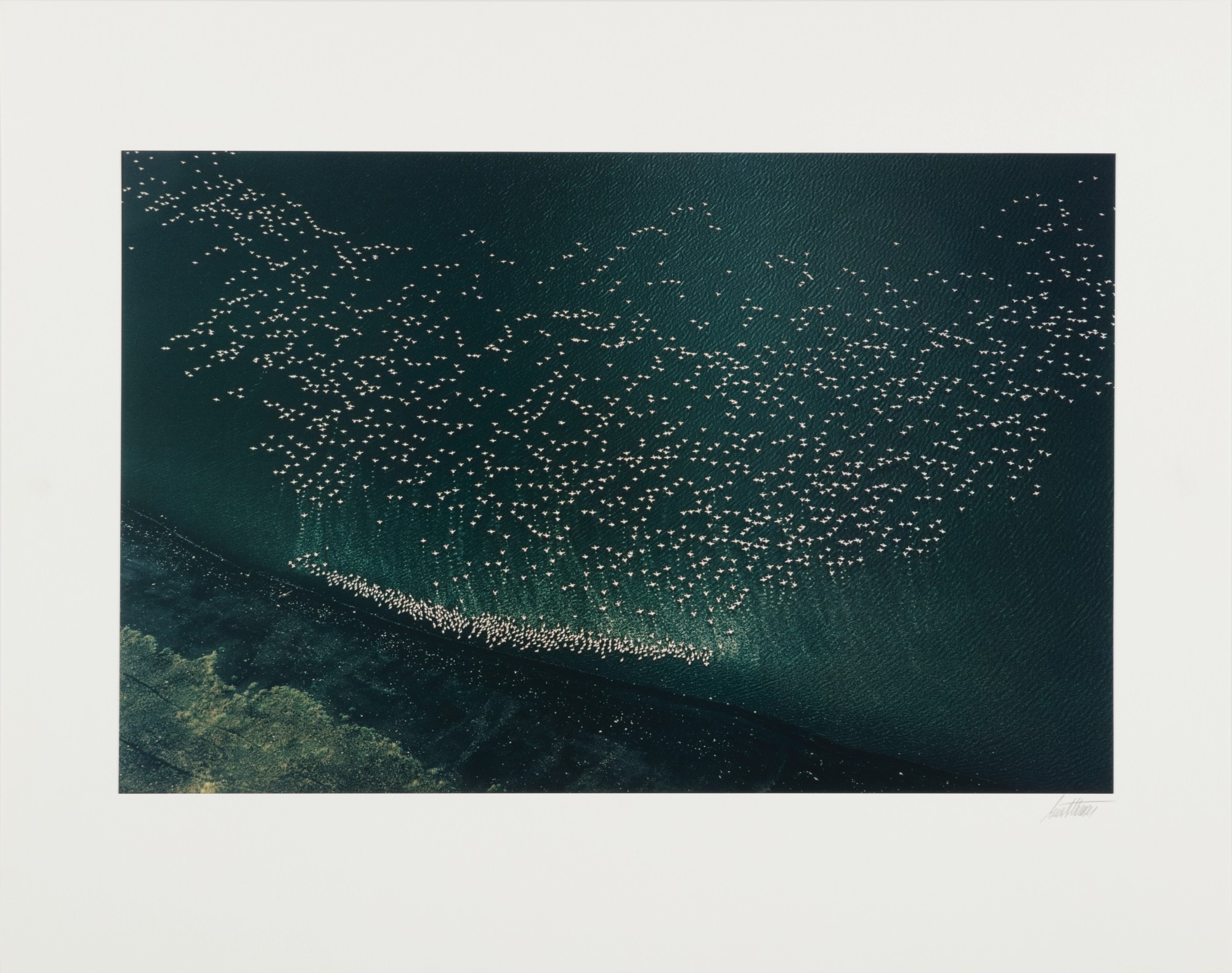 ERNST HAAS | 'THE CREATION' | Classic Photographs | 2020 | Sotheby's