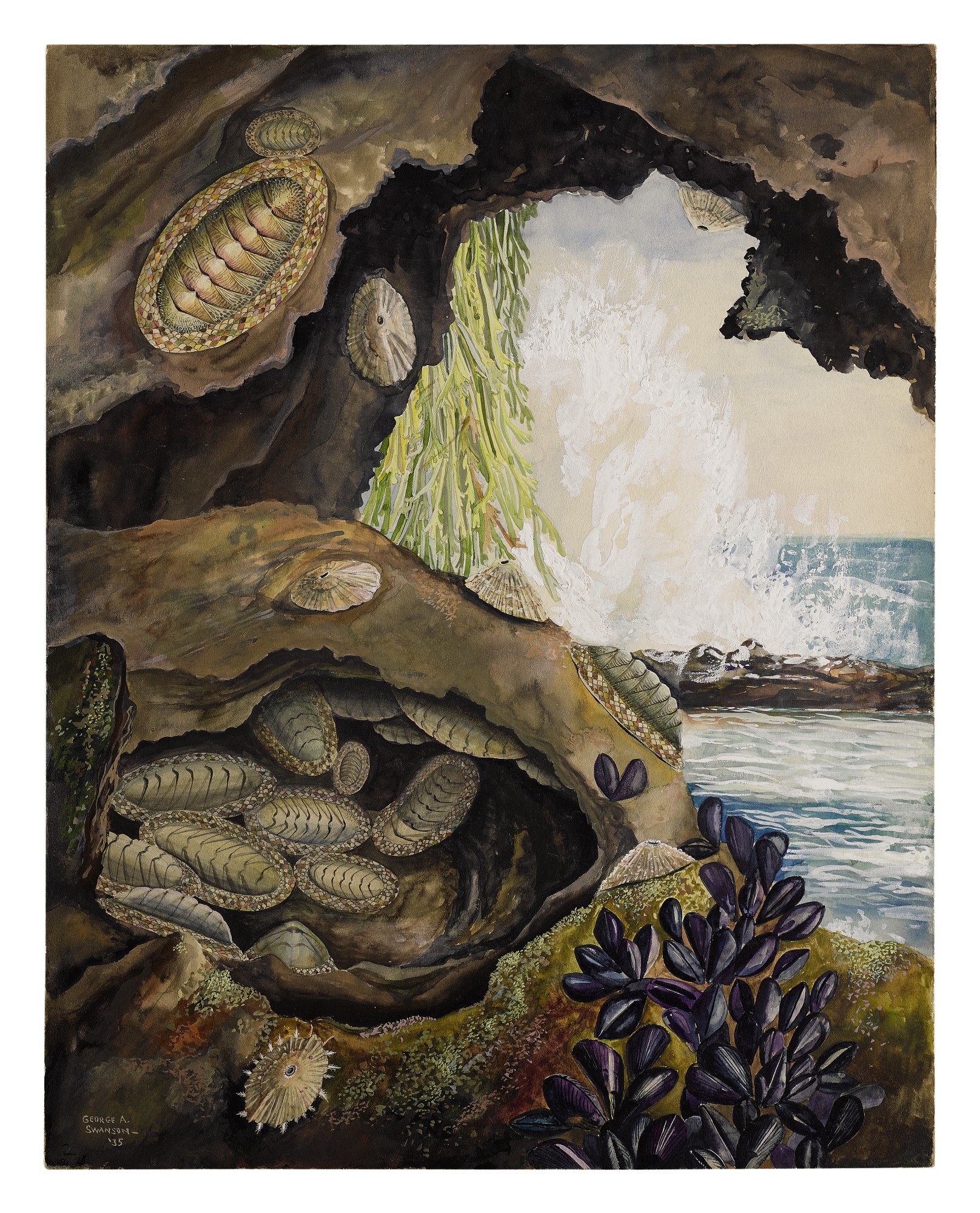 TIDAL CAVERN | The Art of Expedition: The Works of George Swanson ...