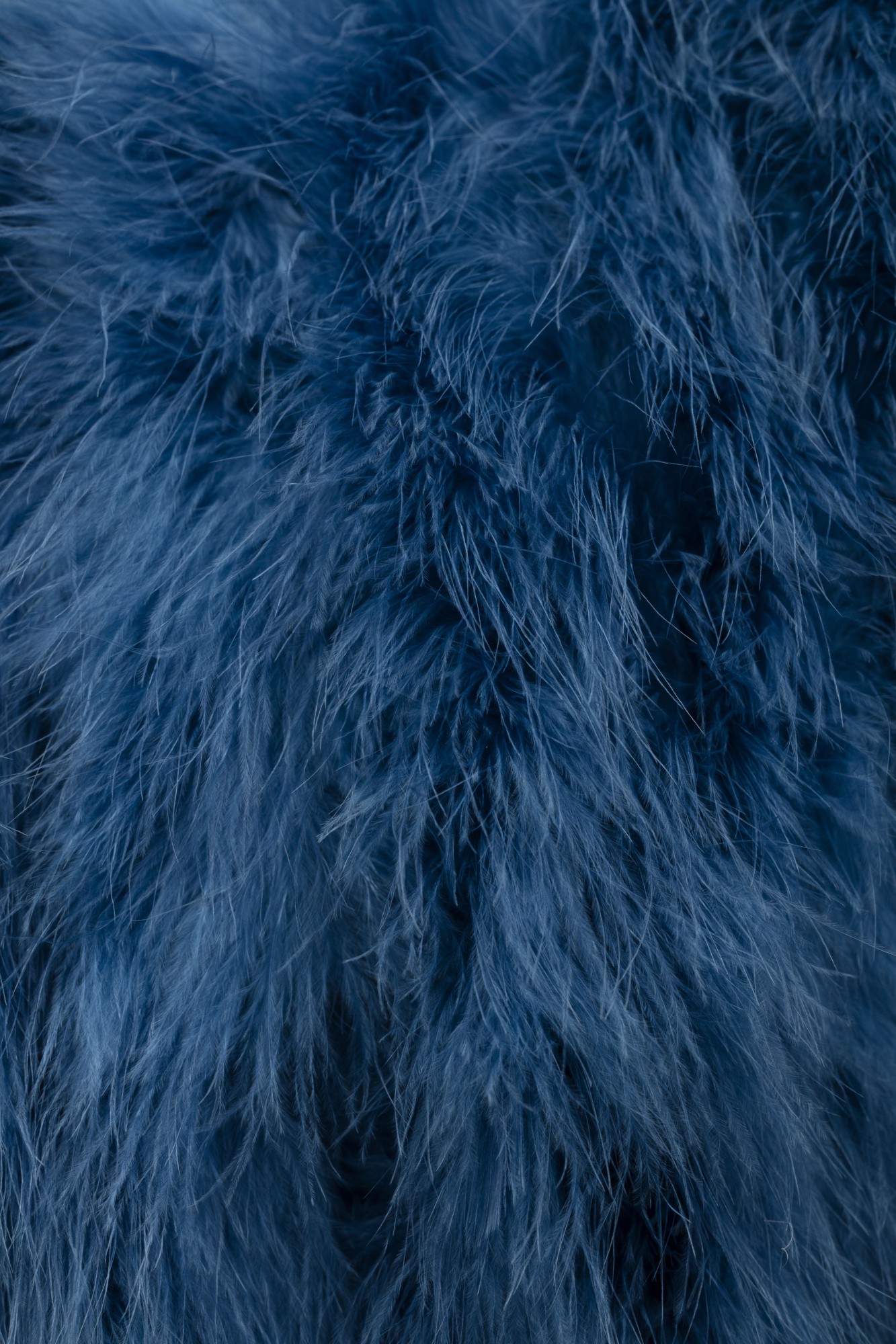 Sonia Rykiel, circa 1970, Feathered blue bolero with wide pants ...