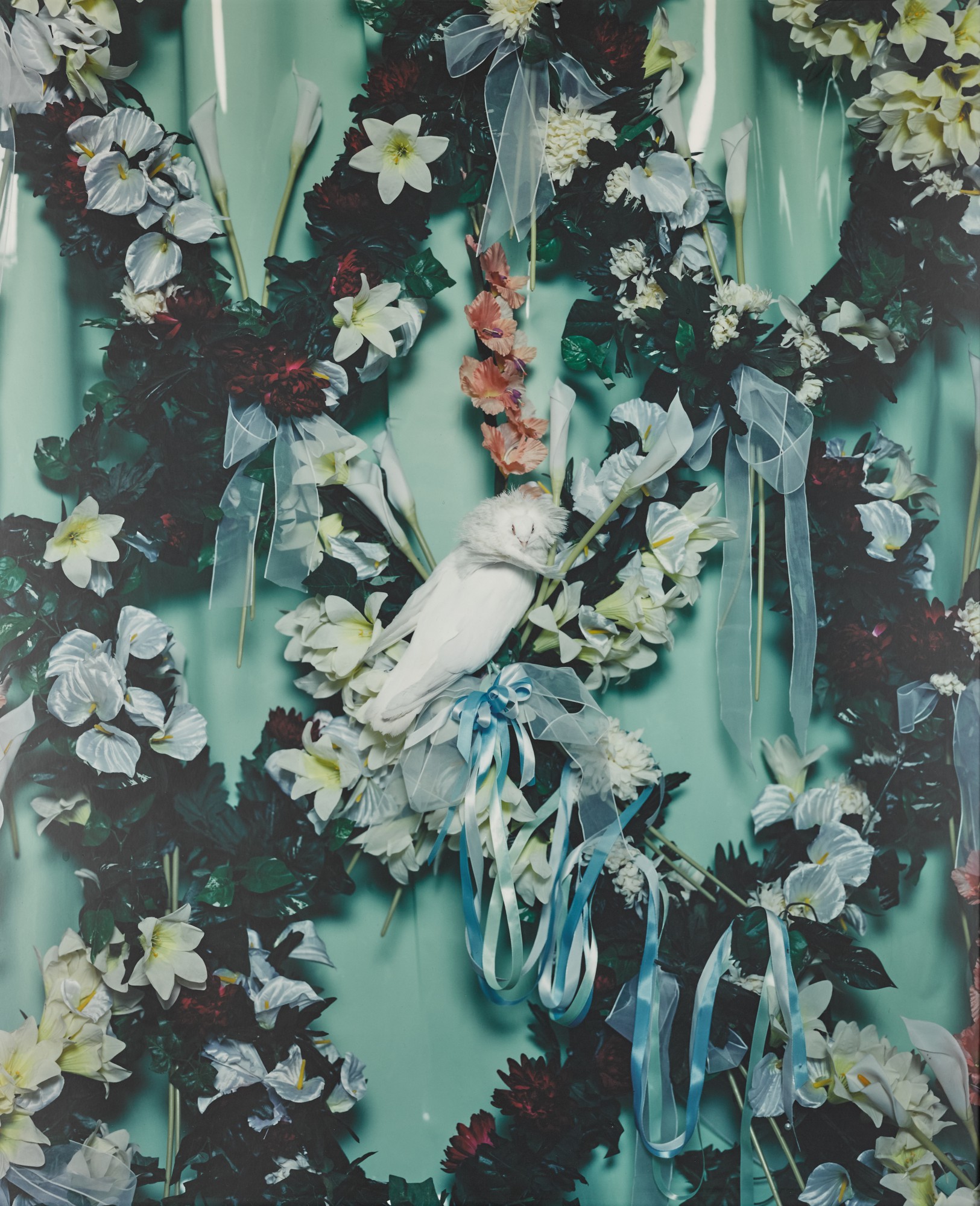 Cremaster 5: The Menagerie of the Queen of Chain | Contemporary Curated ...