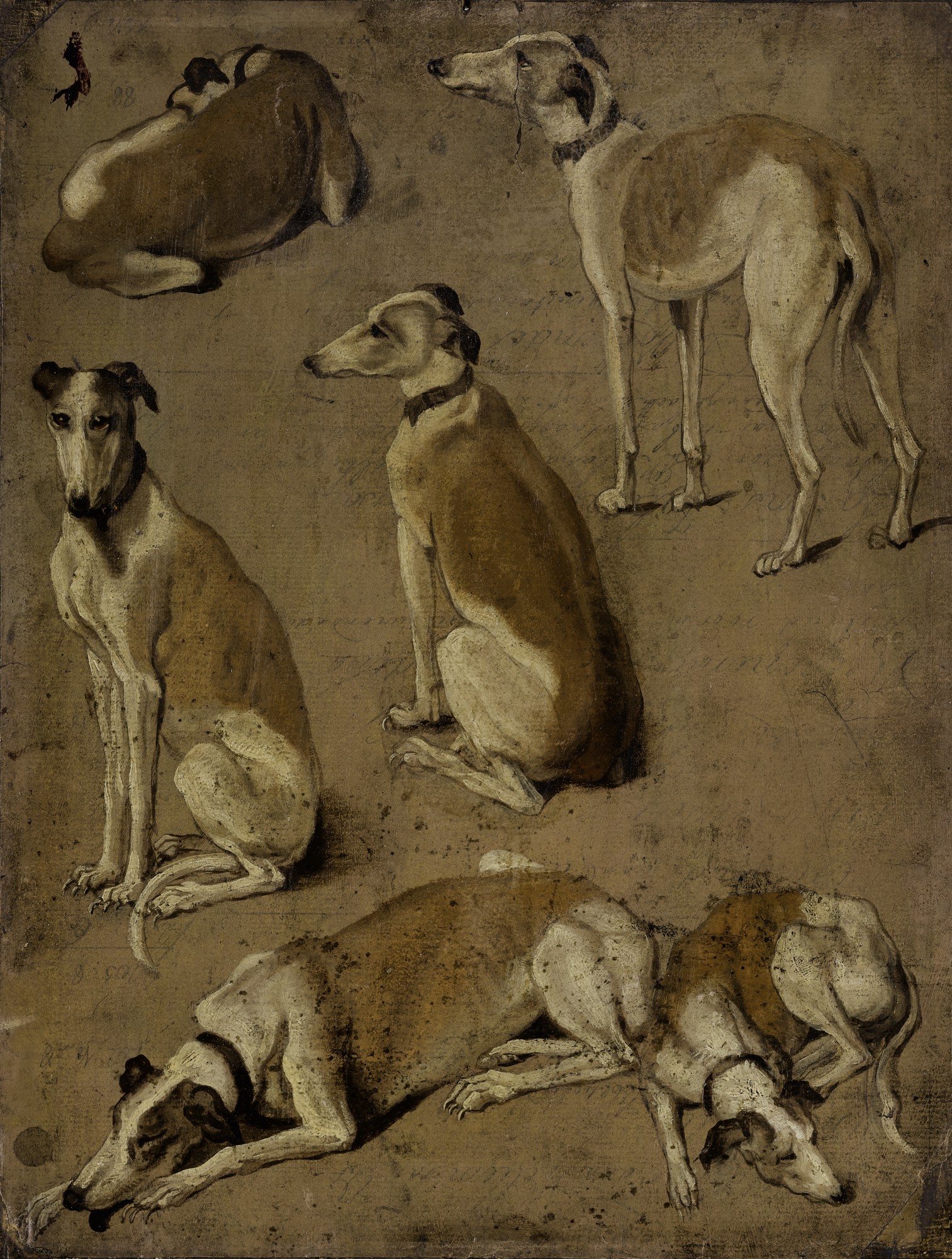 DUTCH SCHOOL, CIRCA 1800 | SEVERAL STUDIES OF A DOG, PROBABLY A ...