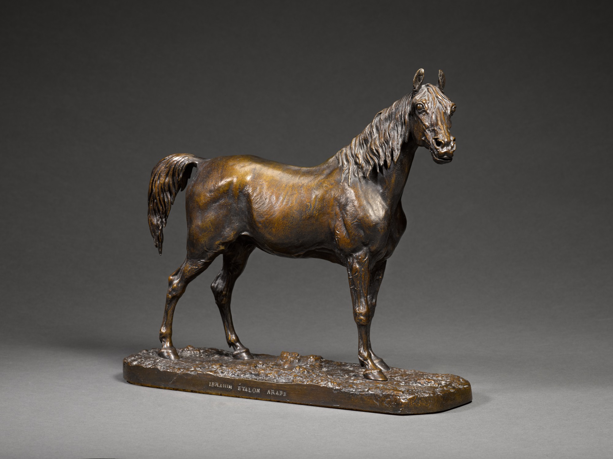 Ibrahim Étalon Arabe (Ibrahim, an Arab Stallion) | 19th & 20th Century ...