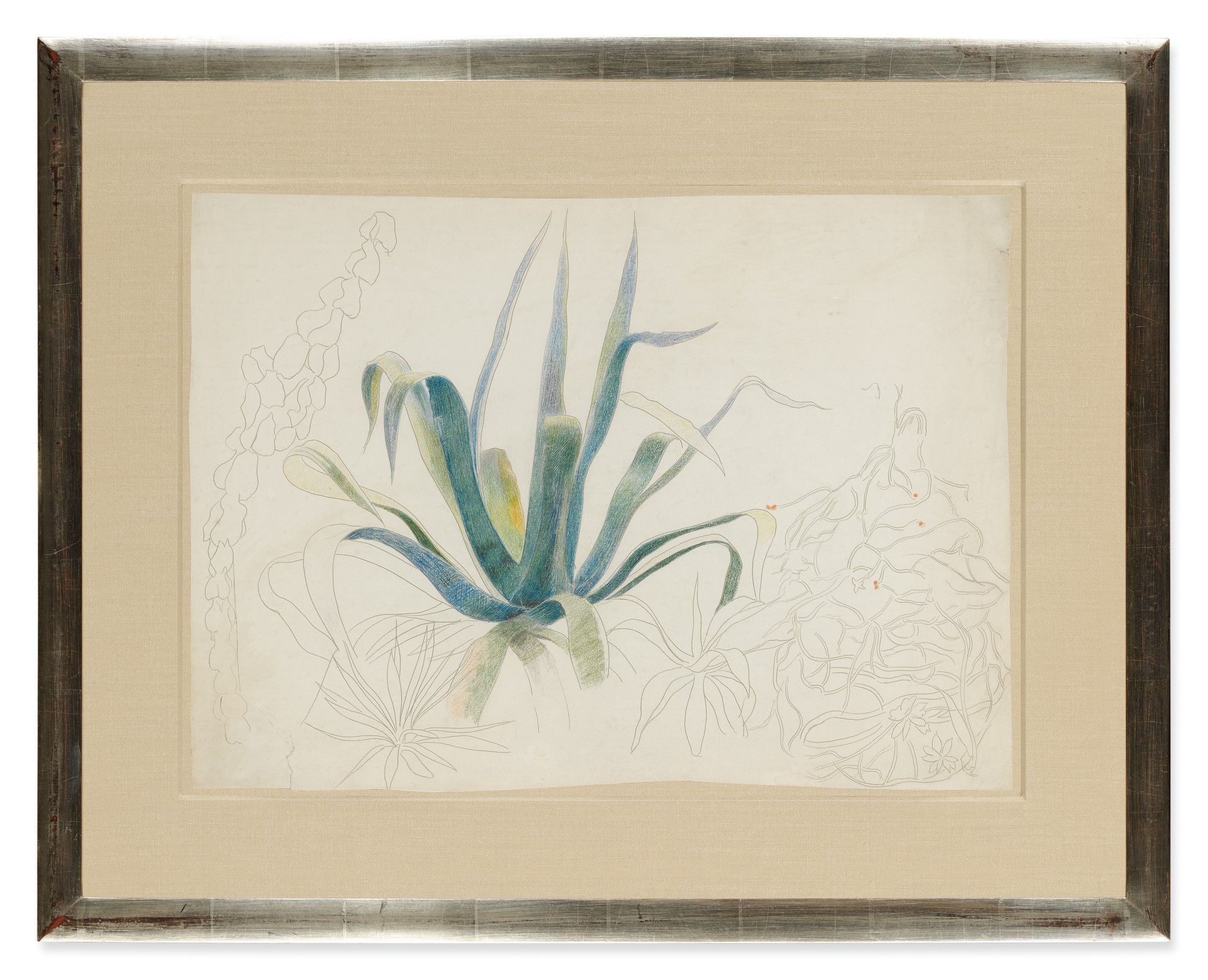 Cactus, Century Plant | Two Centuries: American Art | 2020 | Sotheby's