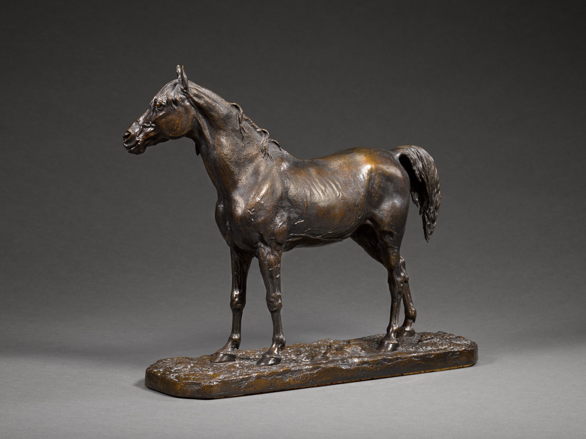 Ibrahim Étalon Arabe (Ibrahim, an Arab Stallion) | 19th & 20th Century ...