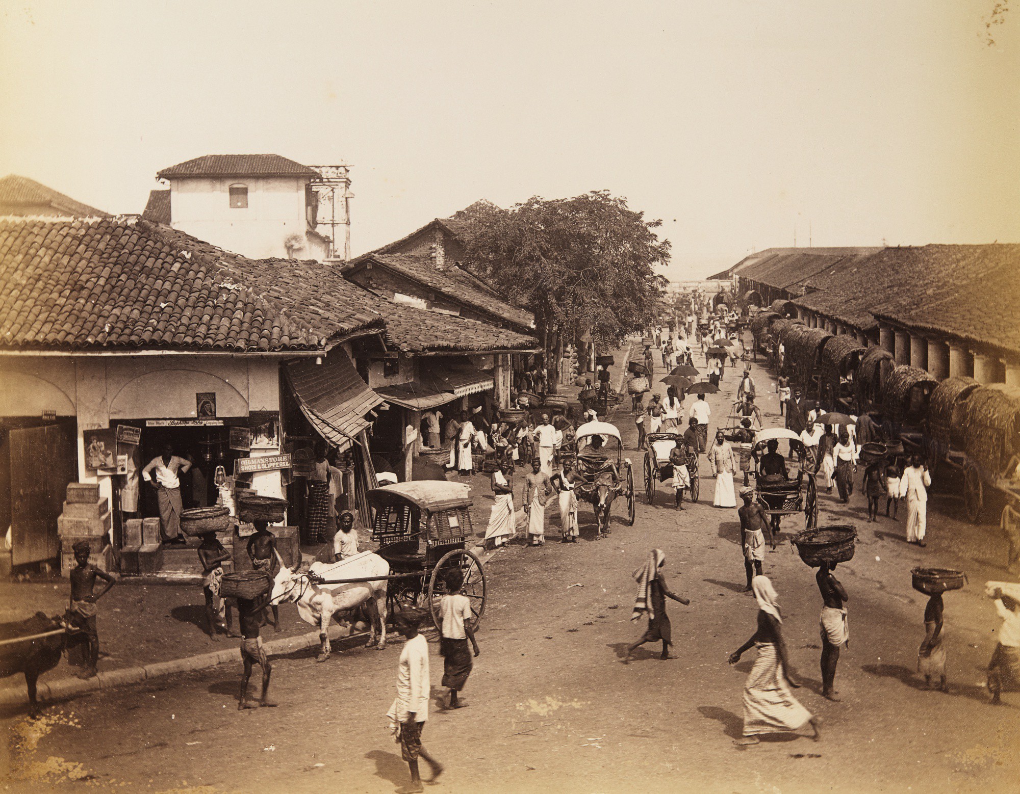 Ceylon | album of photographs, [1880s-1890s] | Travel, Atlases, Maps ...
