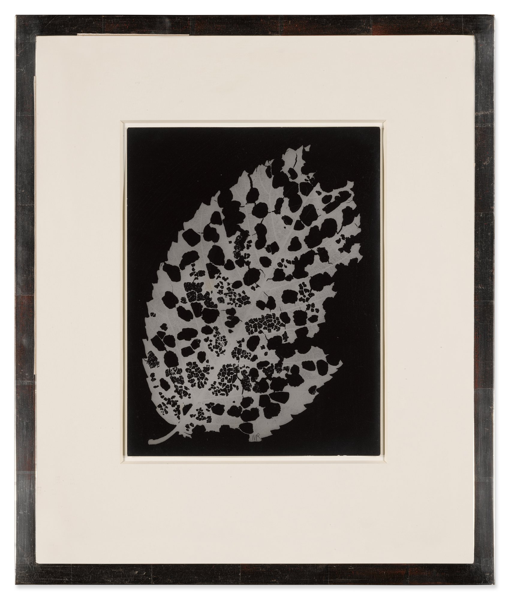 Rayograph (Dead Leaf) | Classic Photographs | 2022 | Sotheby's