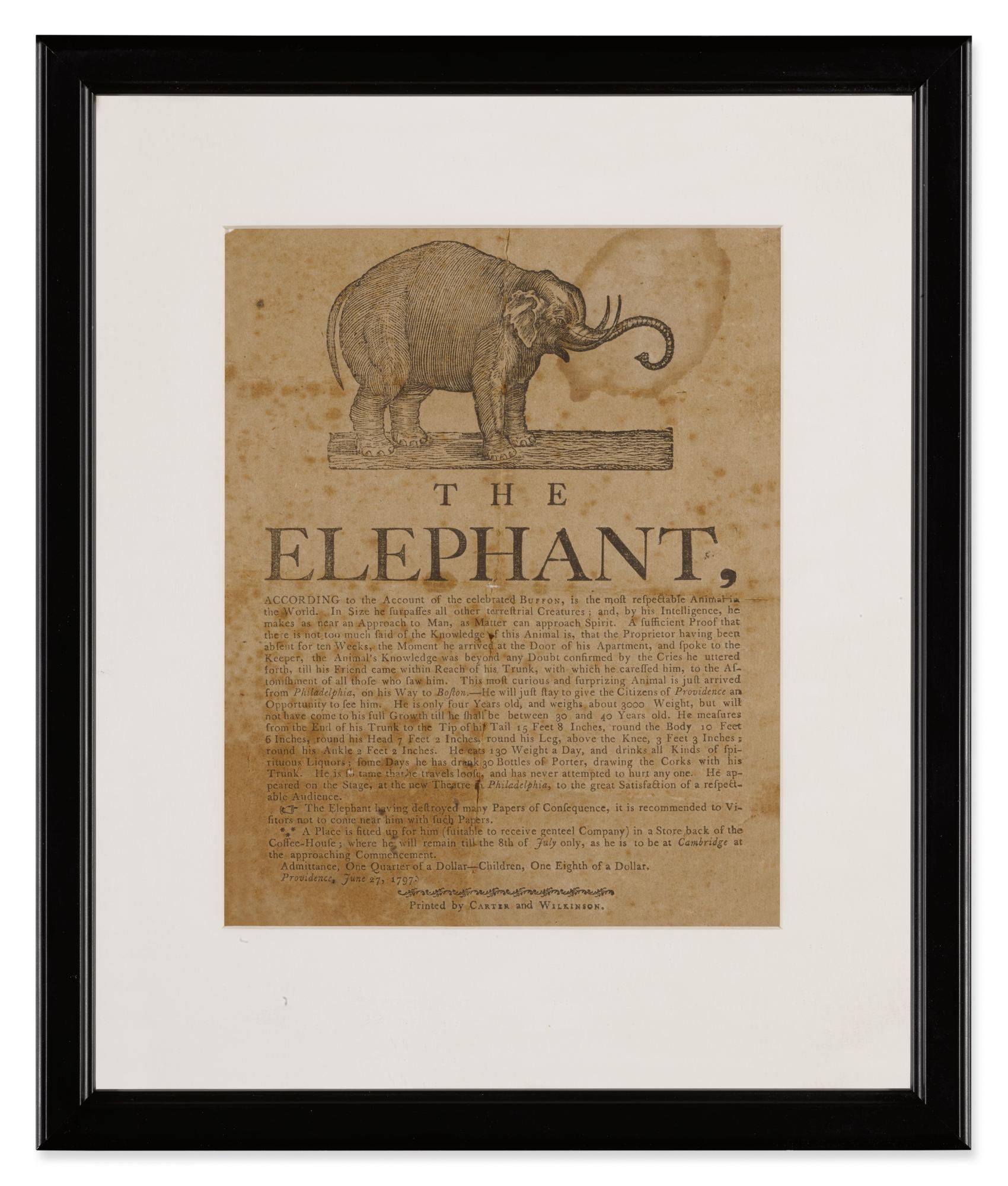 (Elephant) | The first elephant in America | The Ricky Jay Collection ...